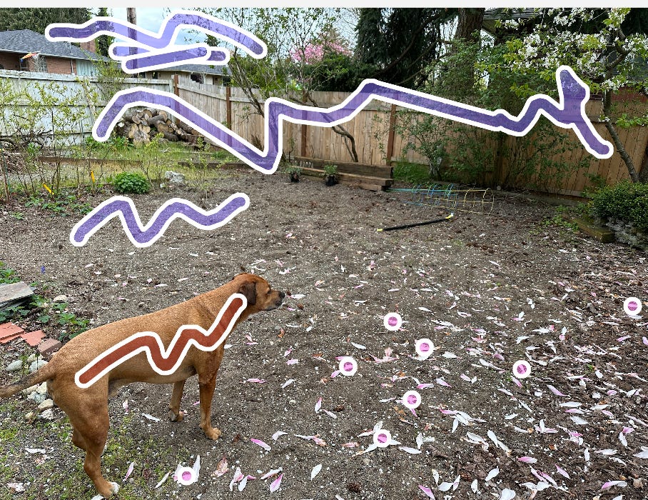 Experimenting with Visual Prompting