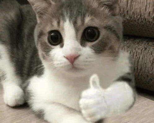 Deploy na Sexta #003: Preciso fazer faculdade para trabalhar com ...