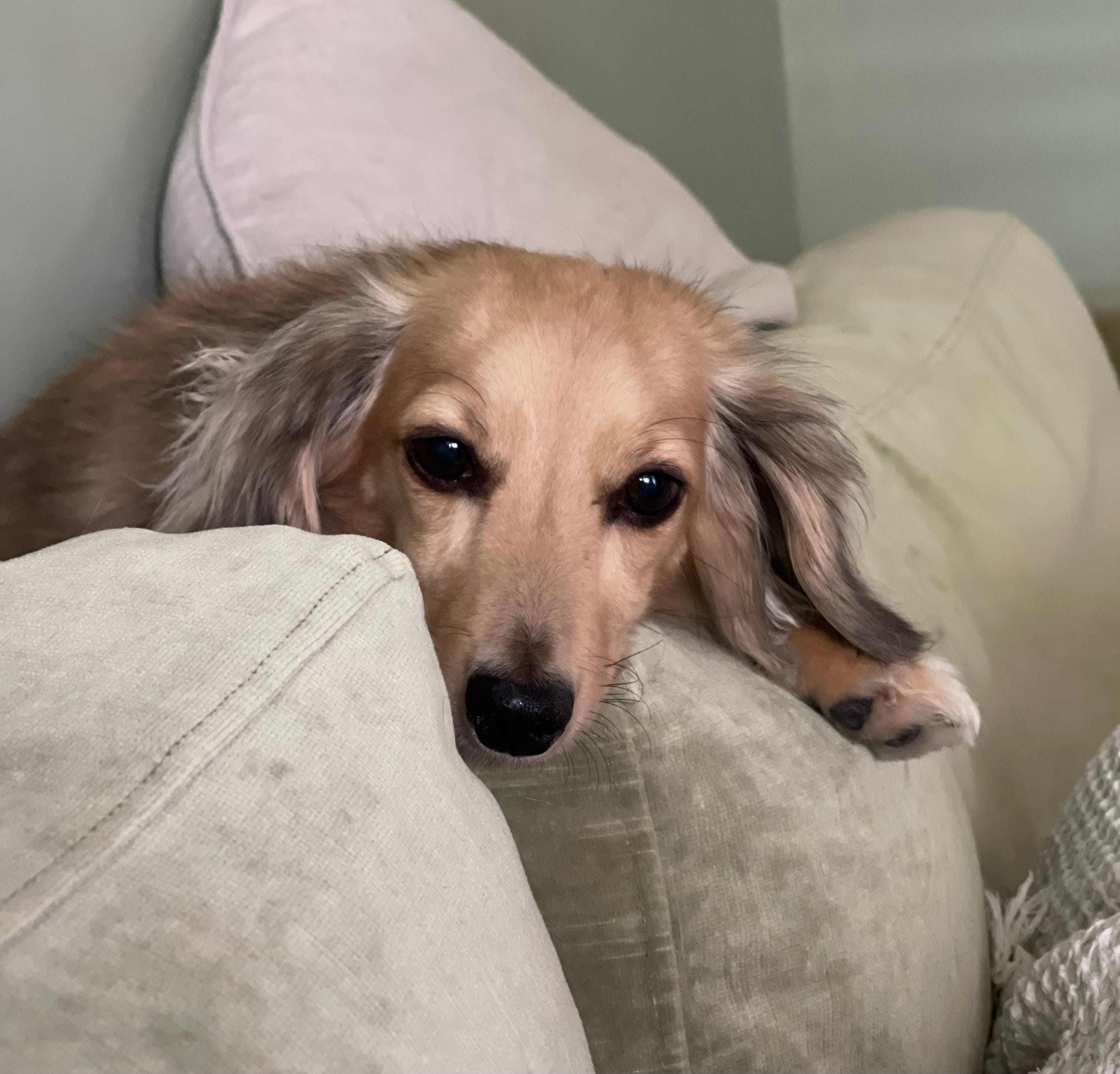 Hanoi's Tragic Inferno - by Michael Tatarski