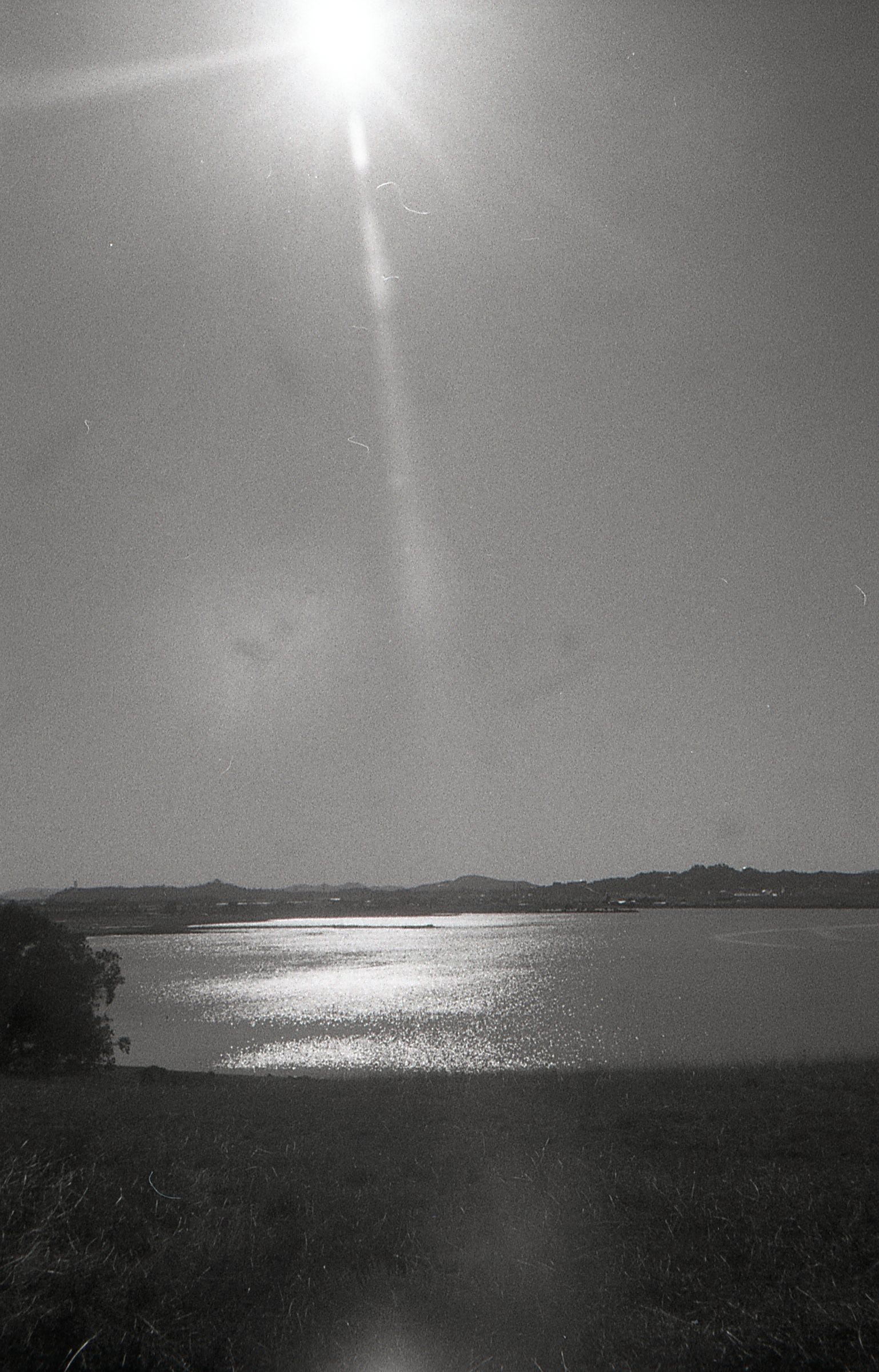 M Kitchell | Substack