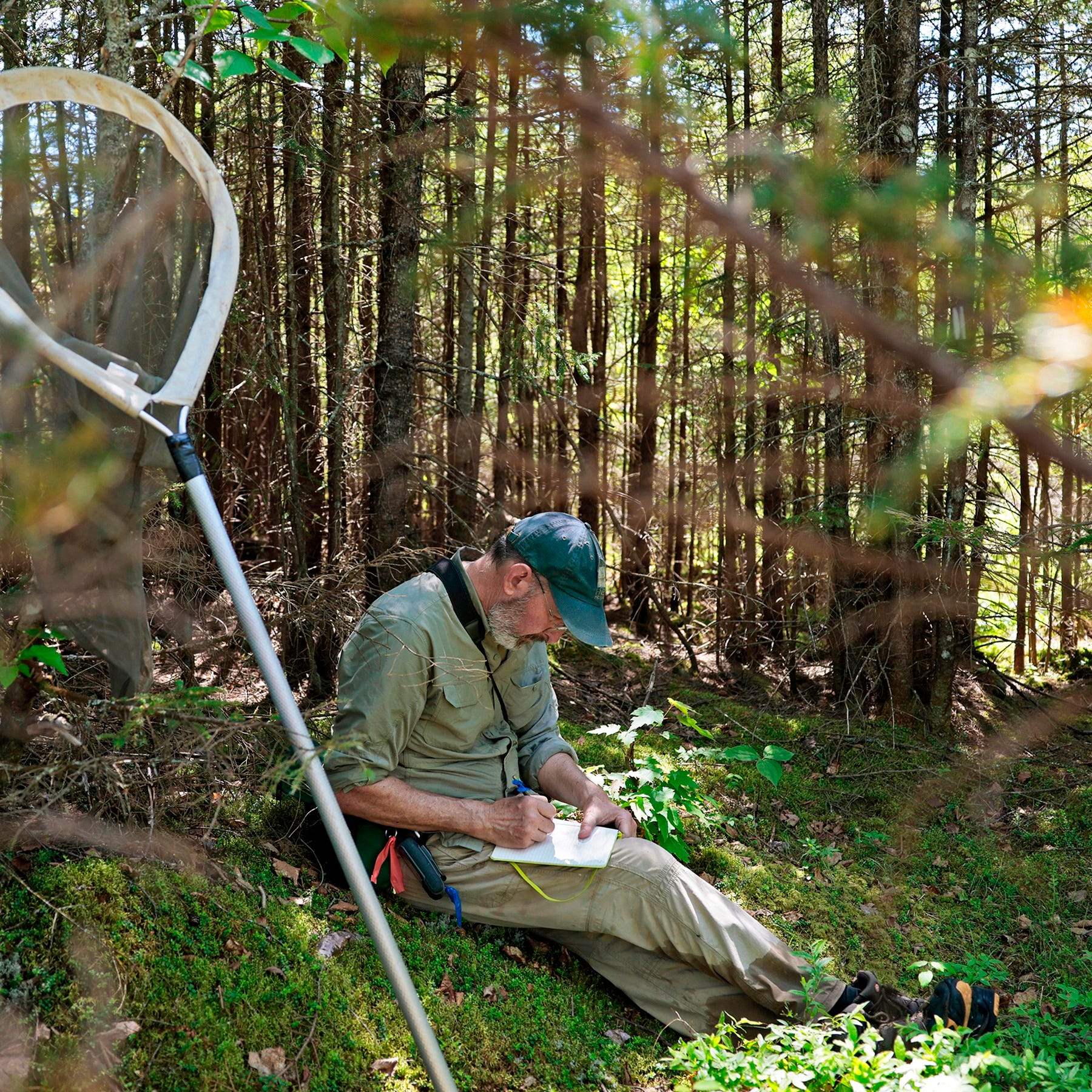 Bryan Pfeiffer | Substack