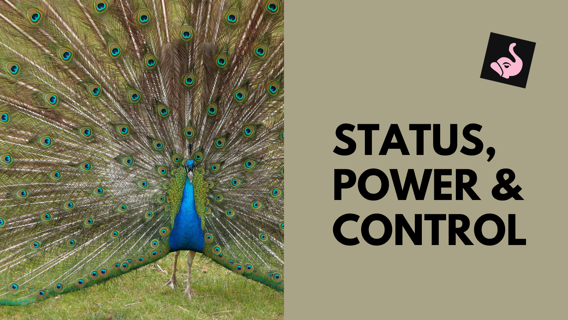 Redefining Craft | Dennis Stevens | Substack