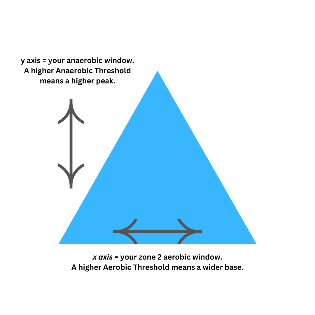 Building Our Metabolic Triangle