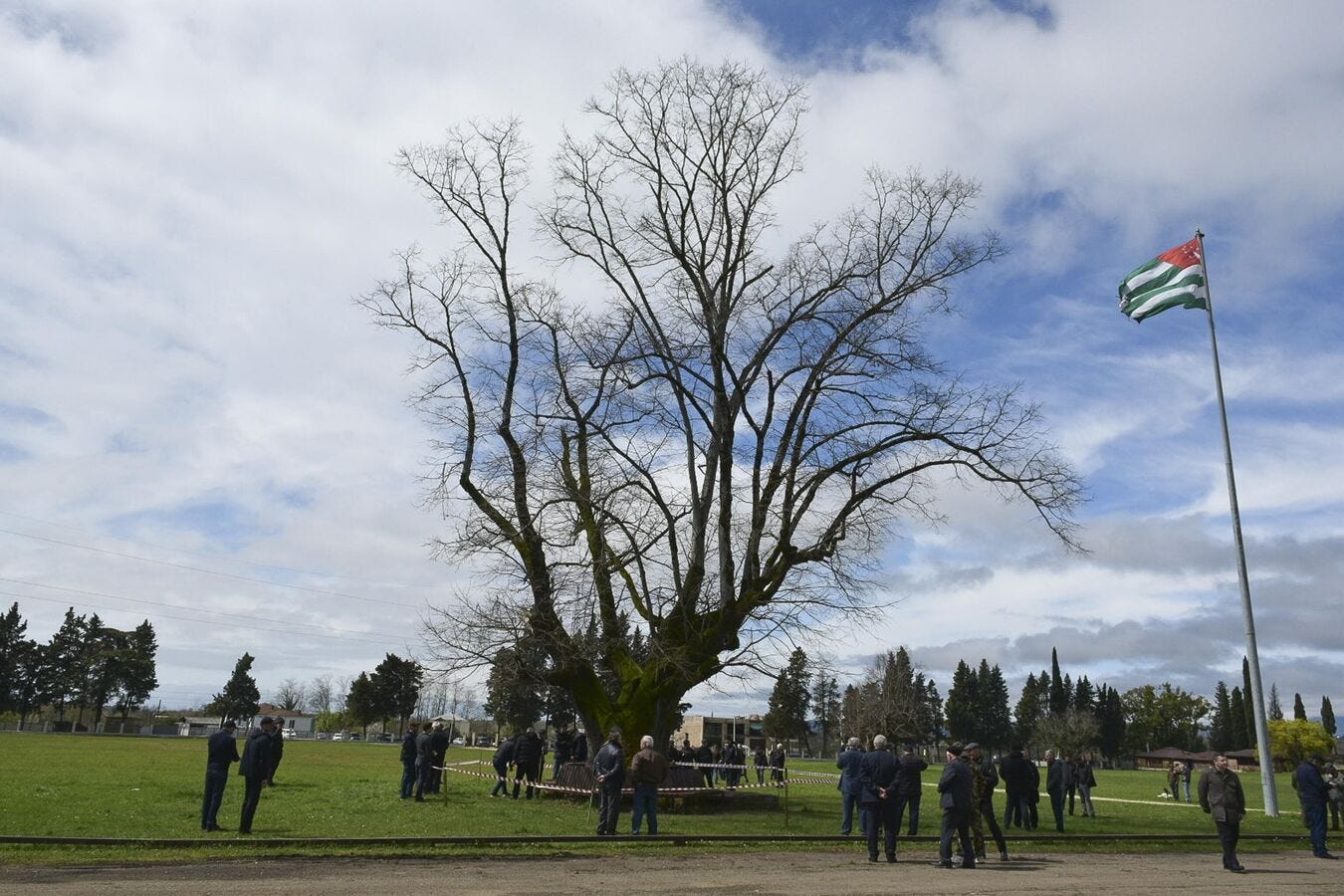 Symbol of Resilience and Spirit: The Significance of the Lykhny Linden ...