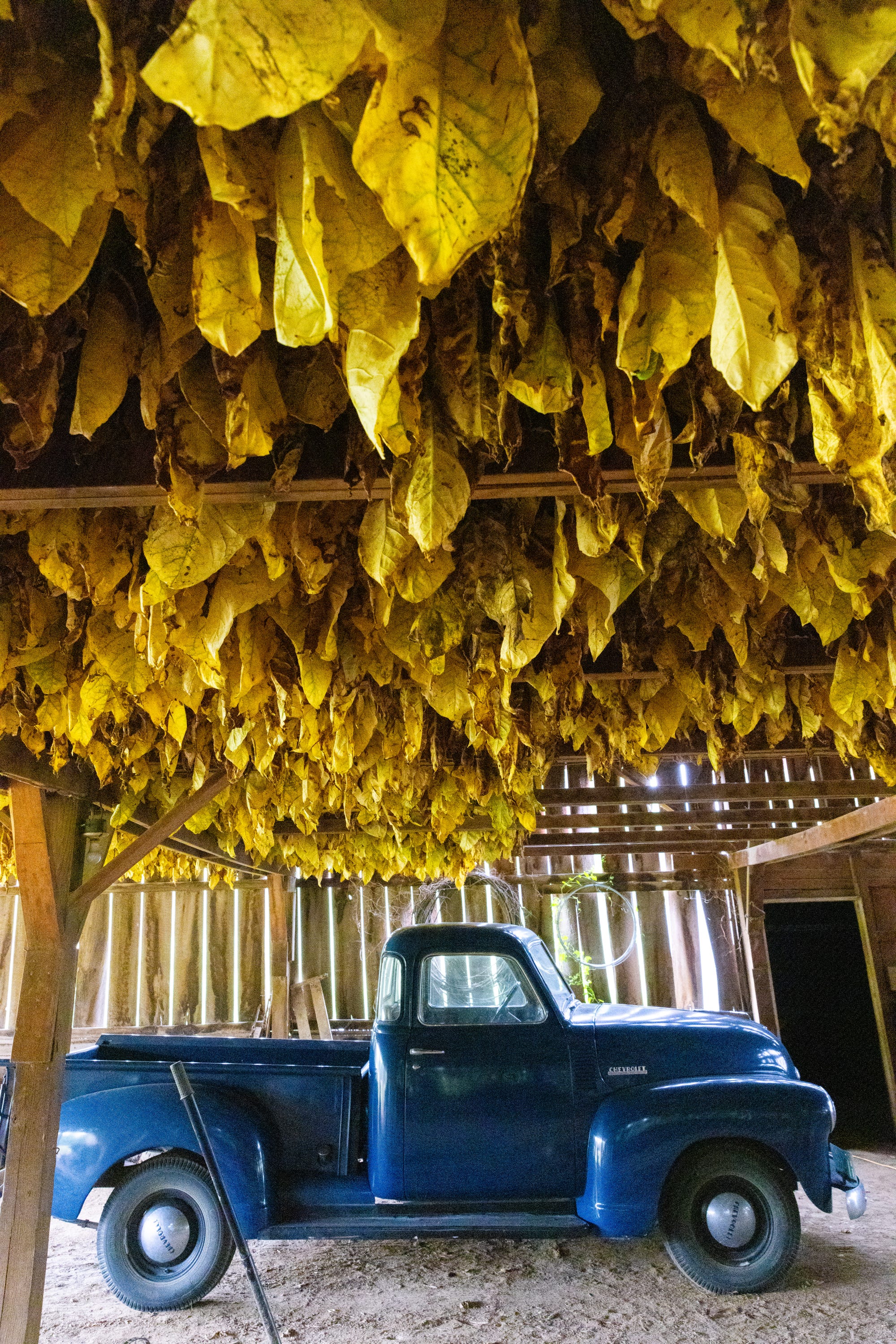 Midwestern Nice: A 2023 Reflection - by Katie