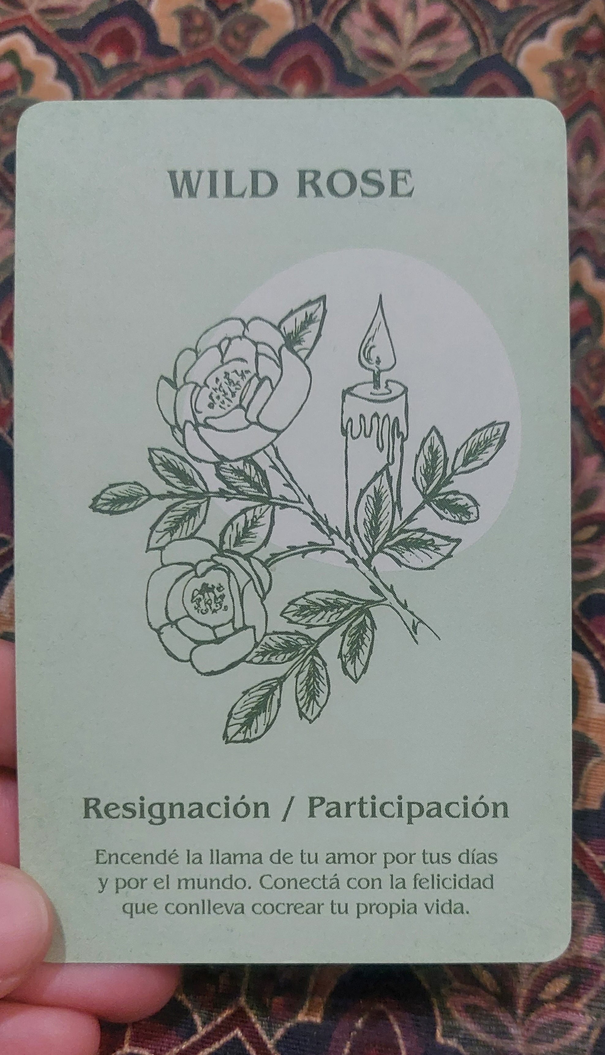 #tarotdodia Resignação / Participação - by Juliana Teles