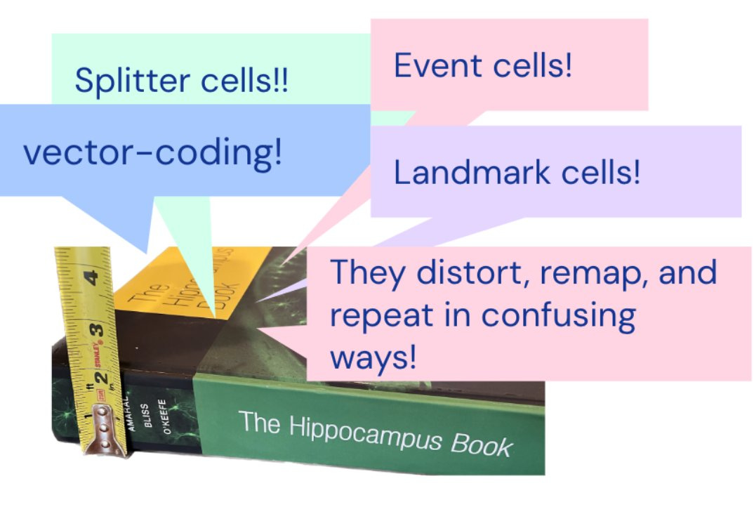 Space Is A Sensory Motor Sequence In The Hippocampus