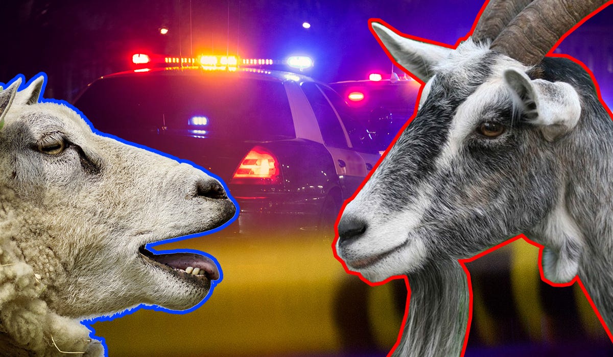 NYC Crime: Separating the Sheep from the Goats.