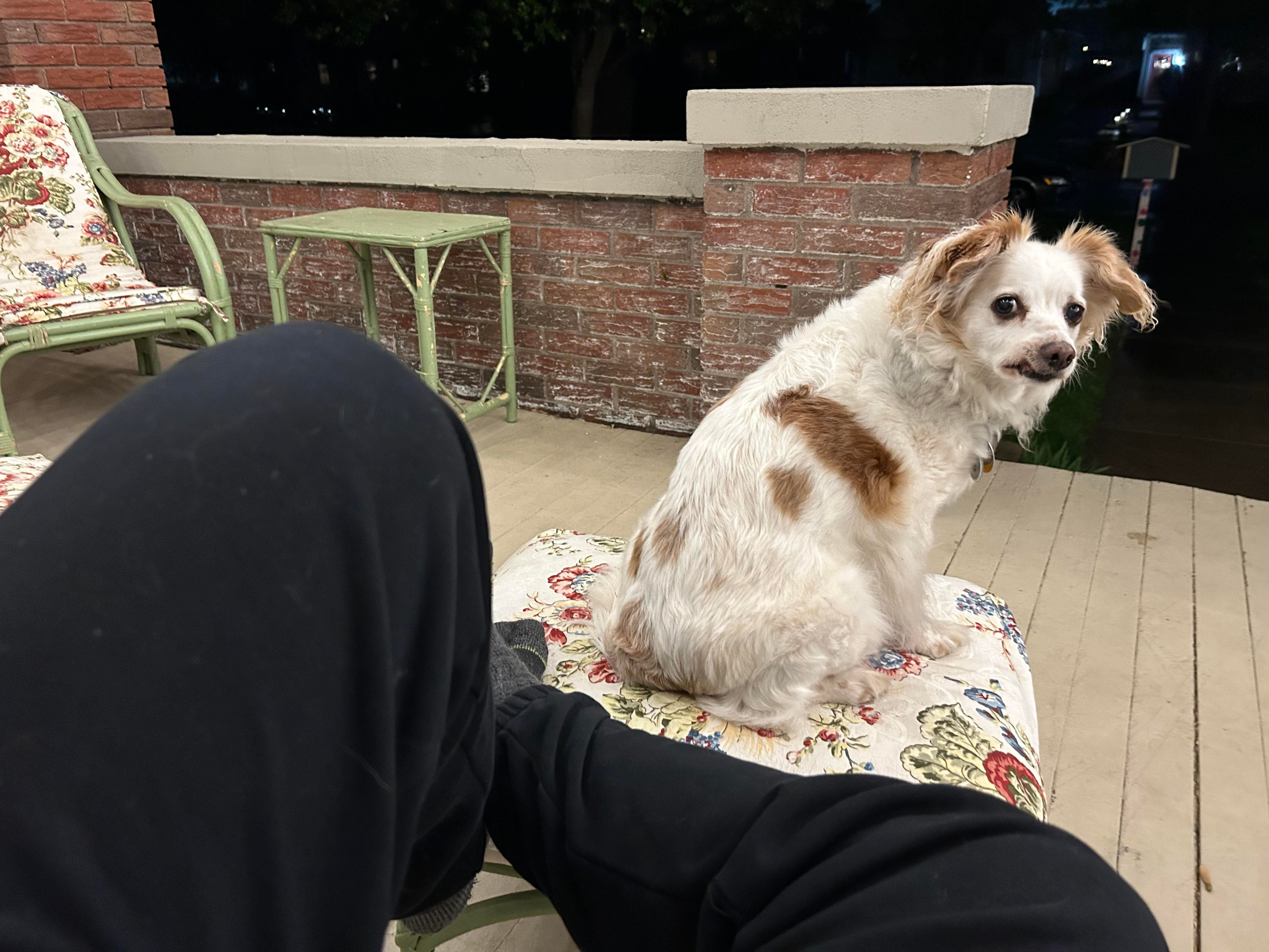 Held by the Hand of Providence - by Craig M. Dunham