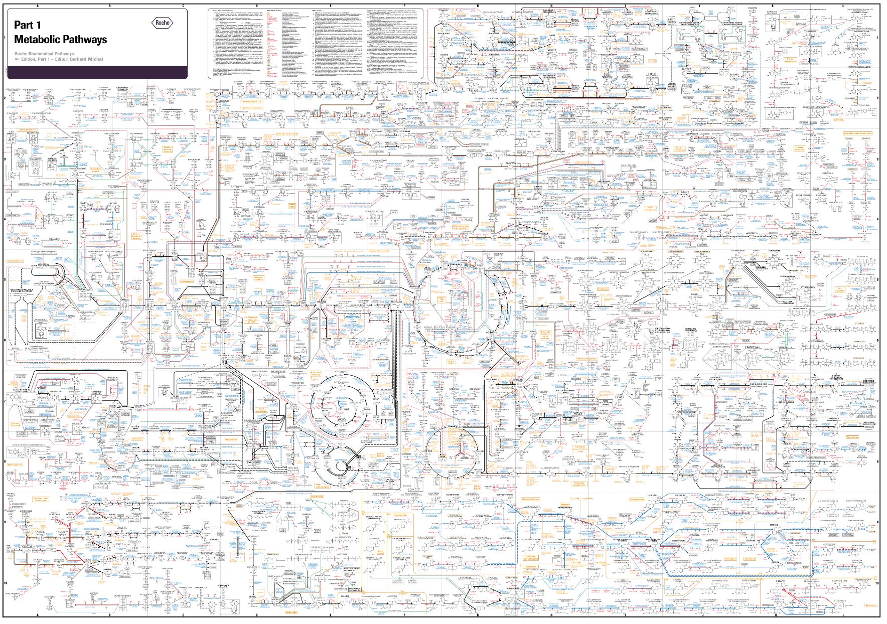 What is to be done? - by Sergey Alexashenko - How the Hell