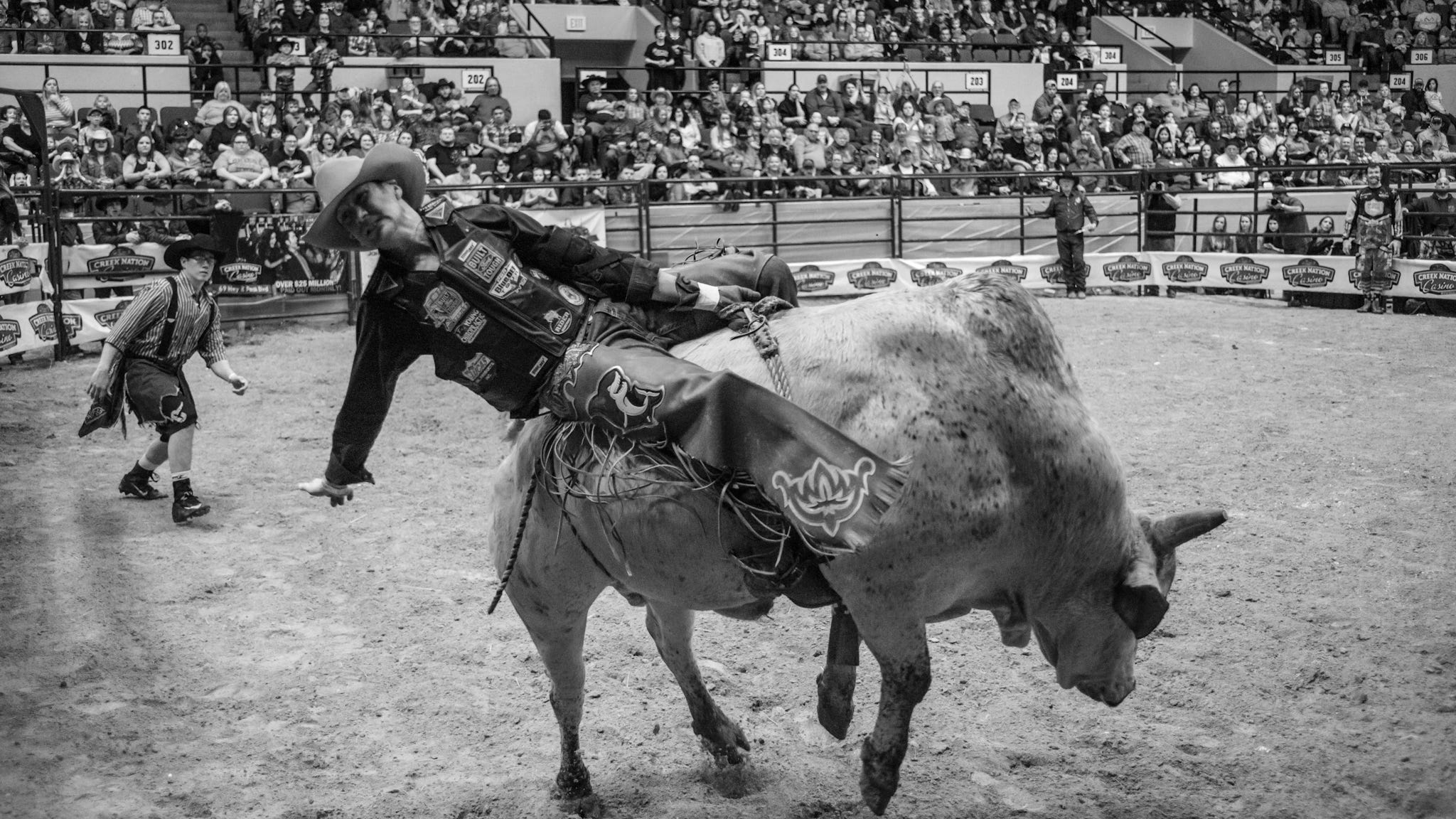 ‘You’re So Pumped You Could Fight an Alligator’: The Promise and Pain ...