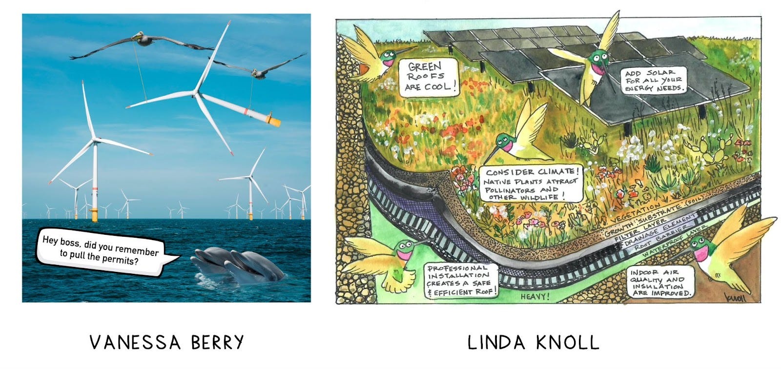 Sustainable Storytelling- Climate Cartoons