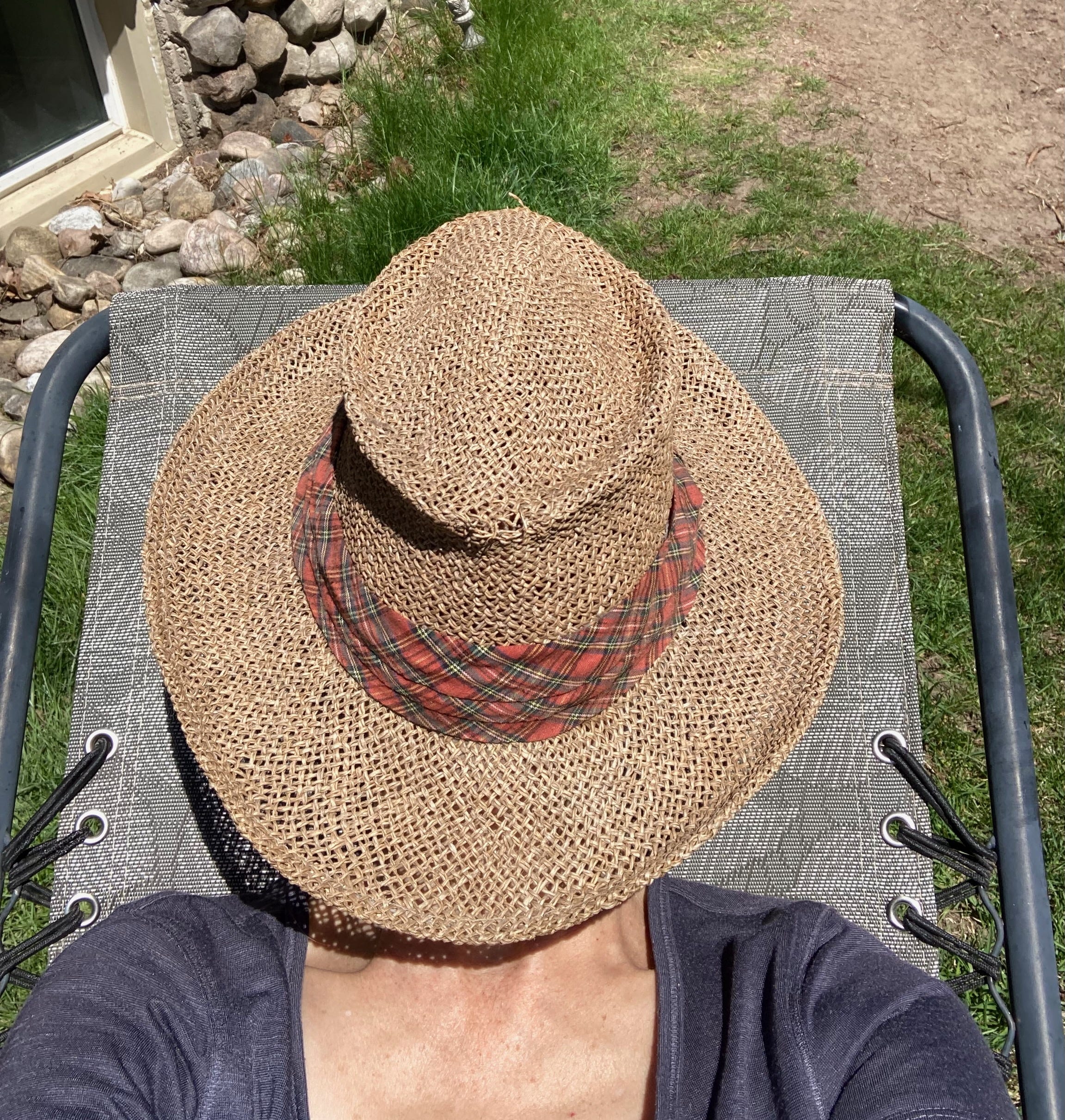 Alana Shields | Substack