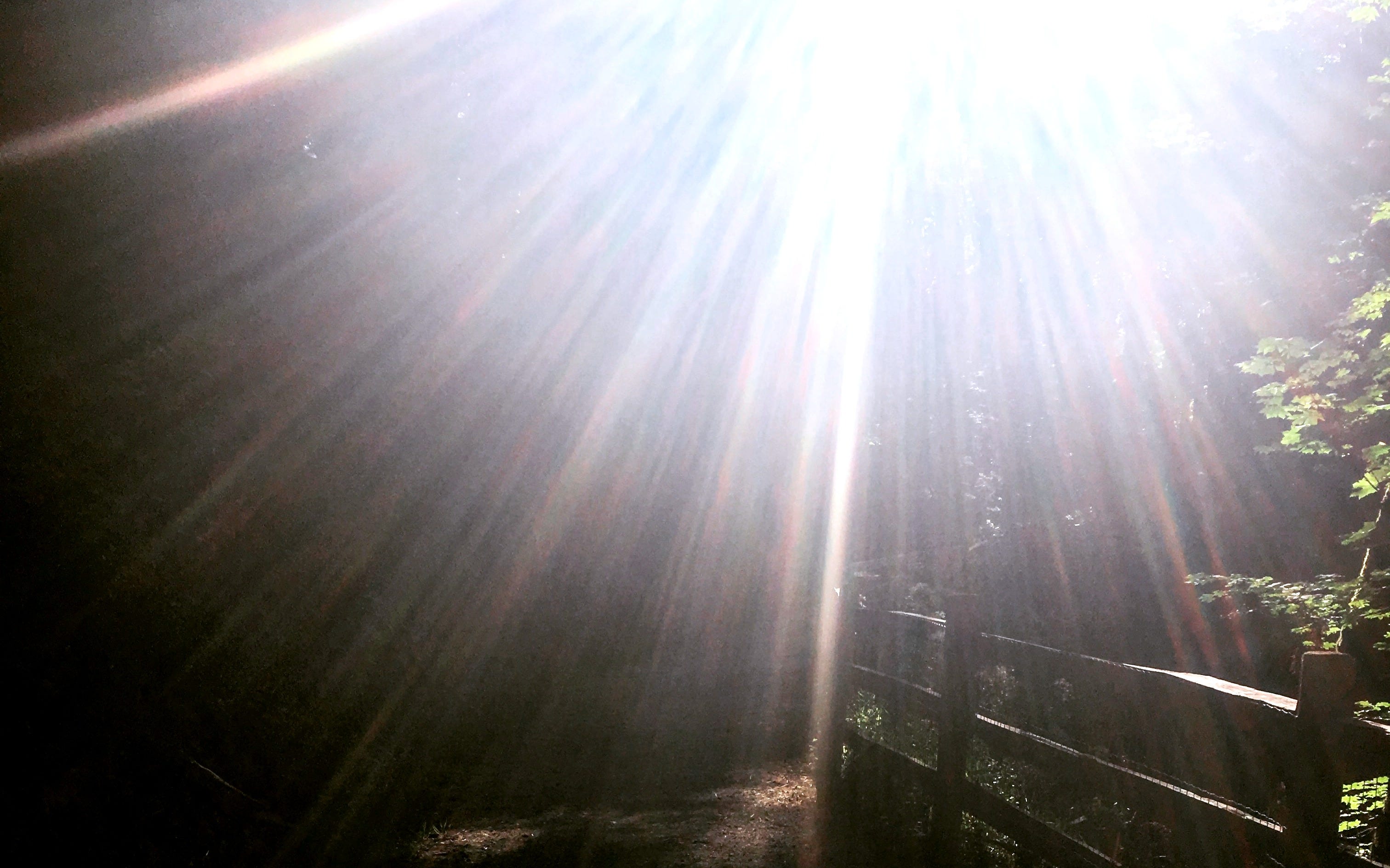 God's mystery revealed - Heartistry