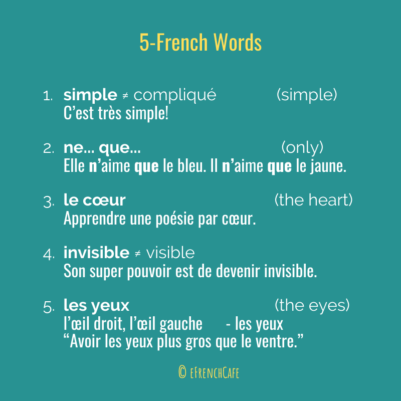 5 FRENCH WORDS avec Antoine de Saint-Exupéry
