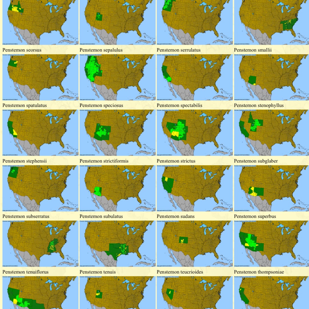 Defining “Native Plant” and Why It’s Important