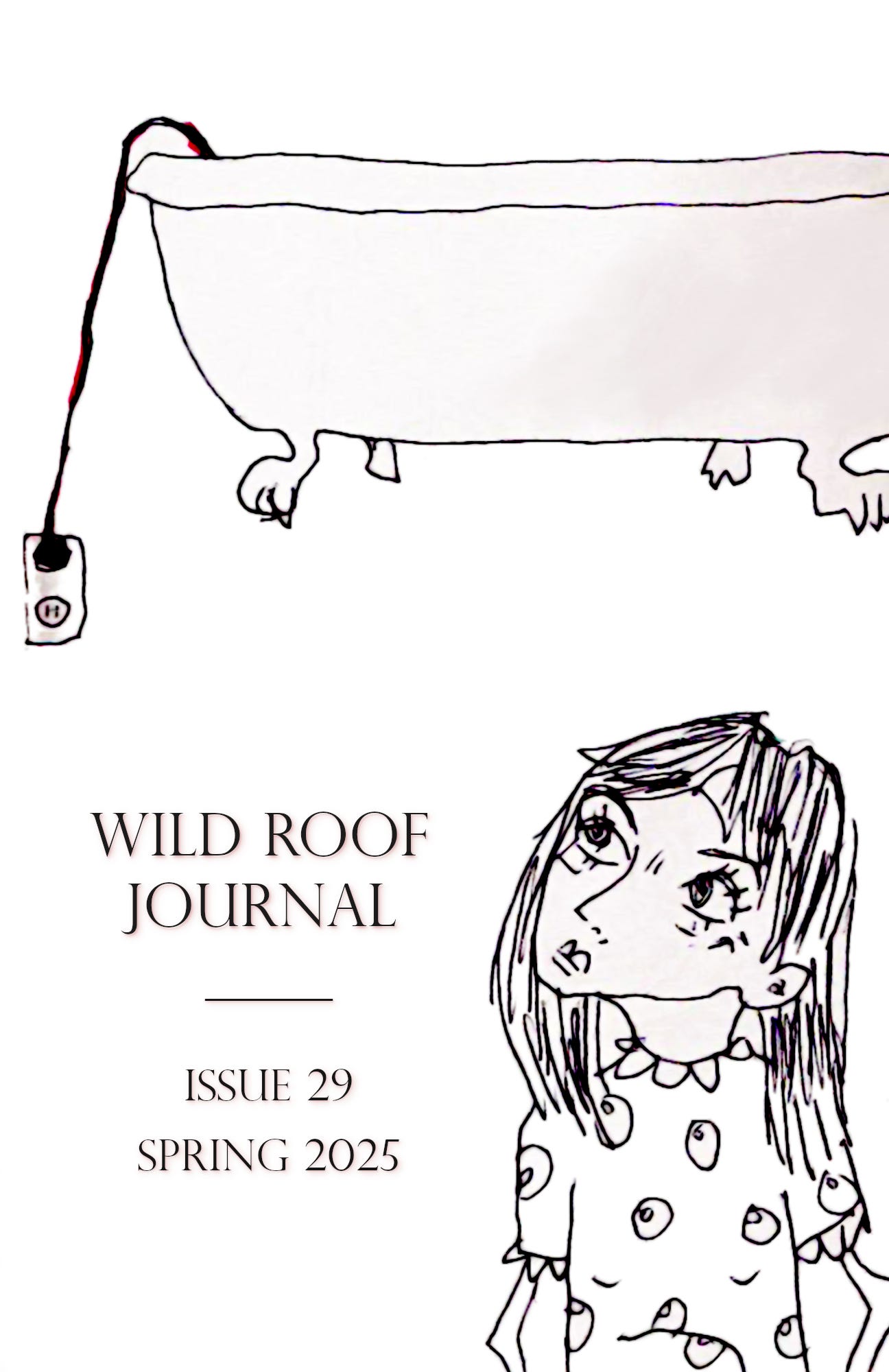Issue 29 | Spring 2025 - Wild Roof Journal’s Substack