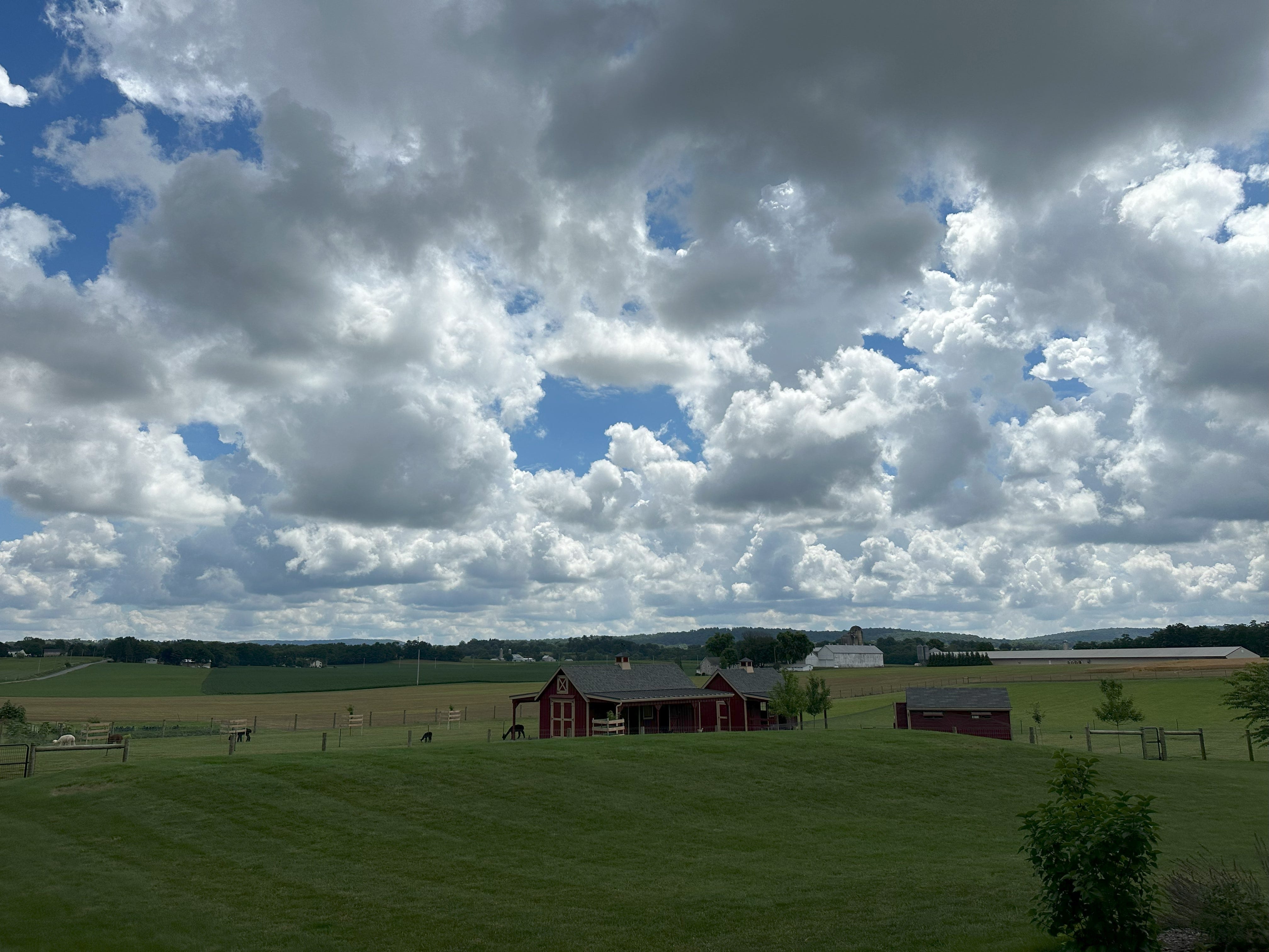 Dear Pastor... - by Joel E. Yeager, MD