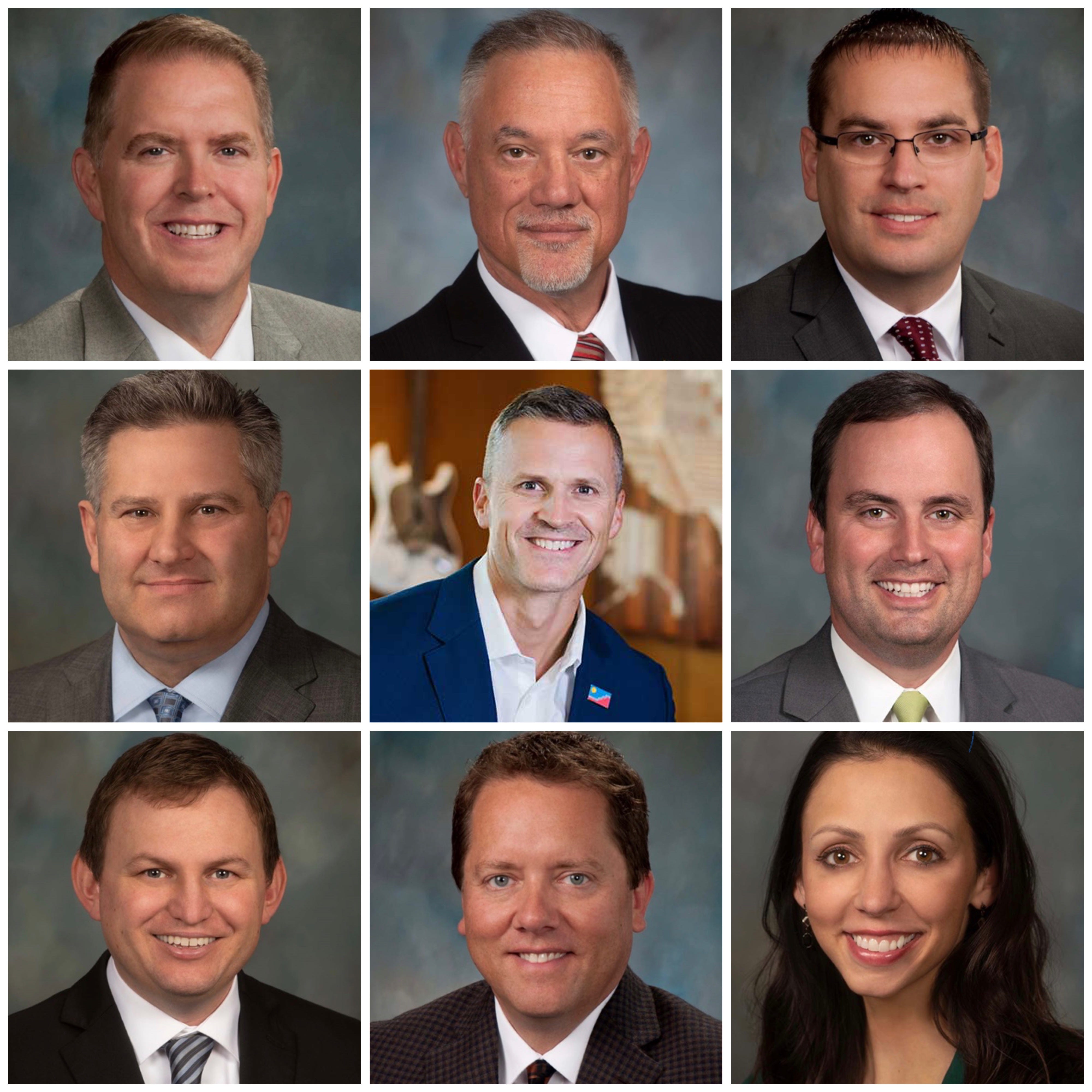 Should city councilors be able to give the mayor, themselves pay raises?