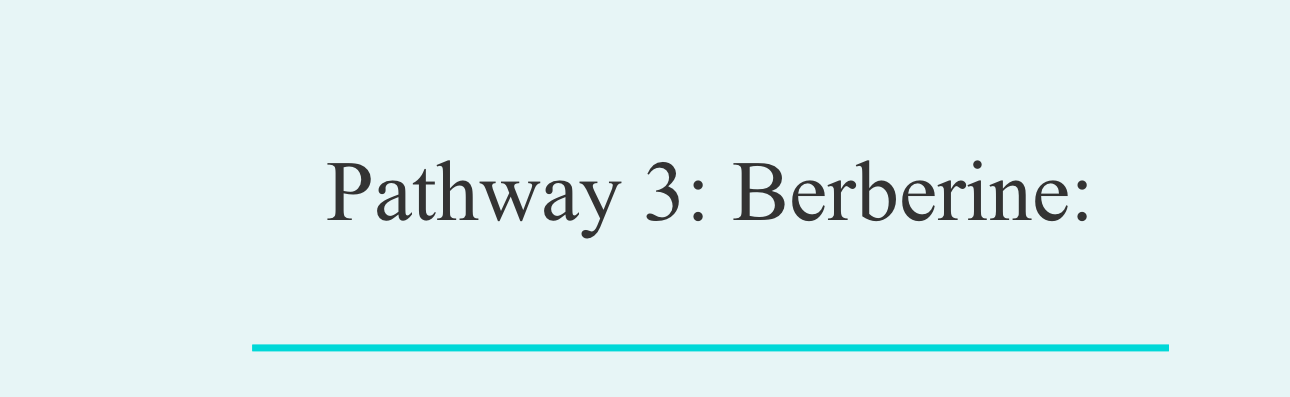 The Joe Tippins Cancer Protocol - by Dr Margaret Aranda