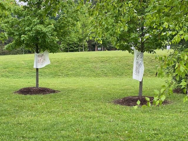 Natural burial lets you give back to Gaia