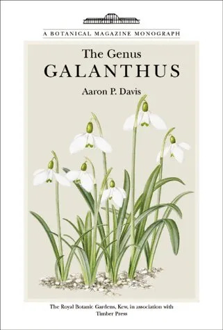 Shakespeare's Snowdrops: Galanthus Bred by Heyrick Greatorex
