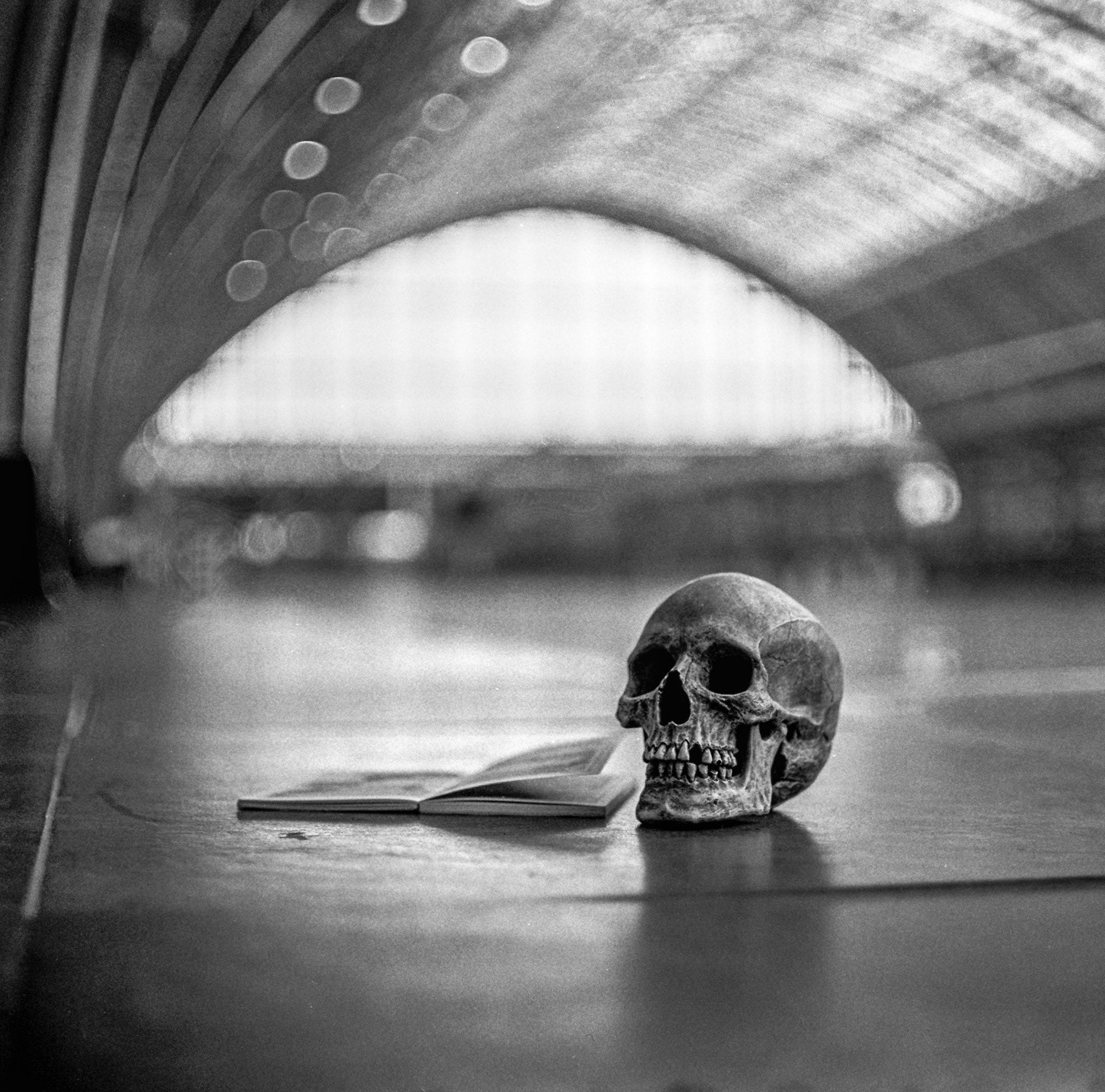 Vanity/Vanitas - by Richard Partridge