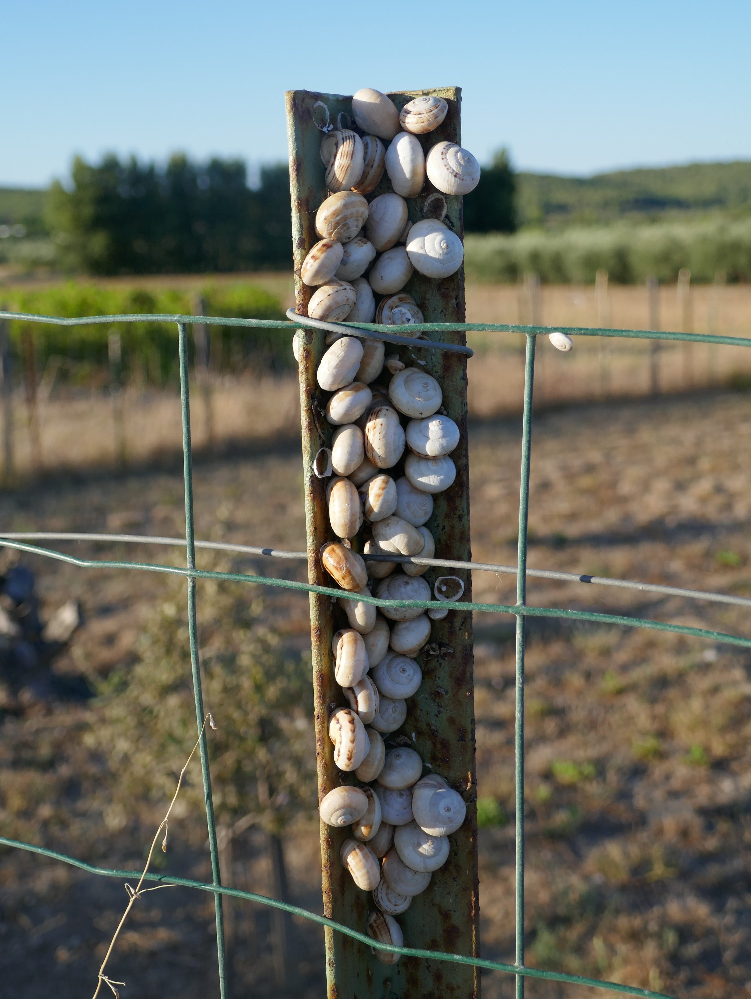 On the Move - by Deborah Eydmann