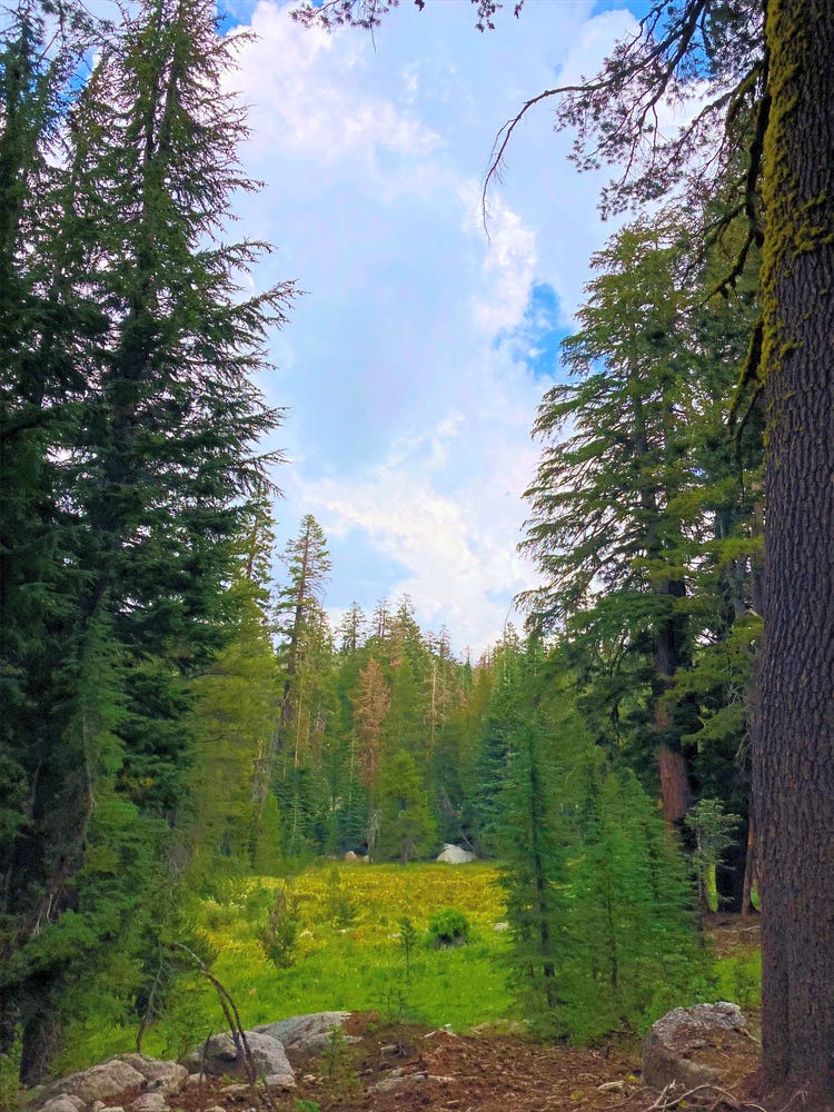 Alone...or free? - by Misbah - The Rooted Wayfarer