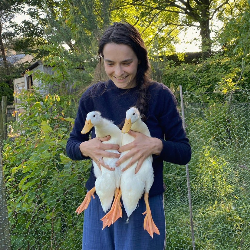 Charlotte Bell | Substack