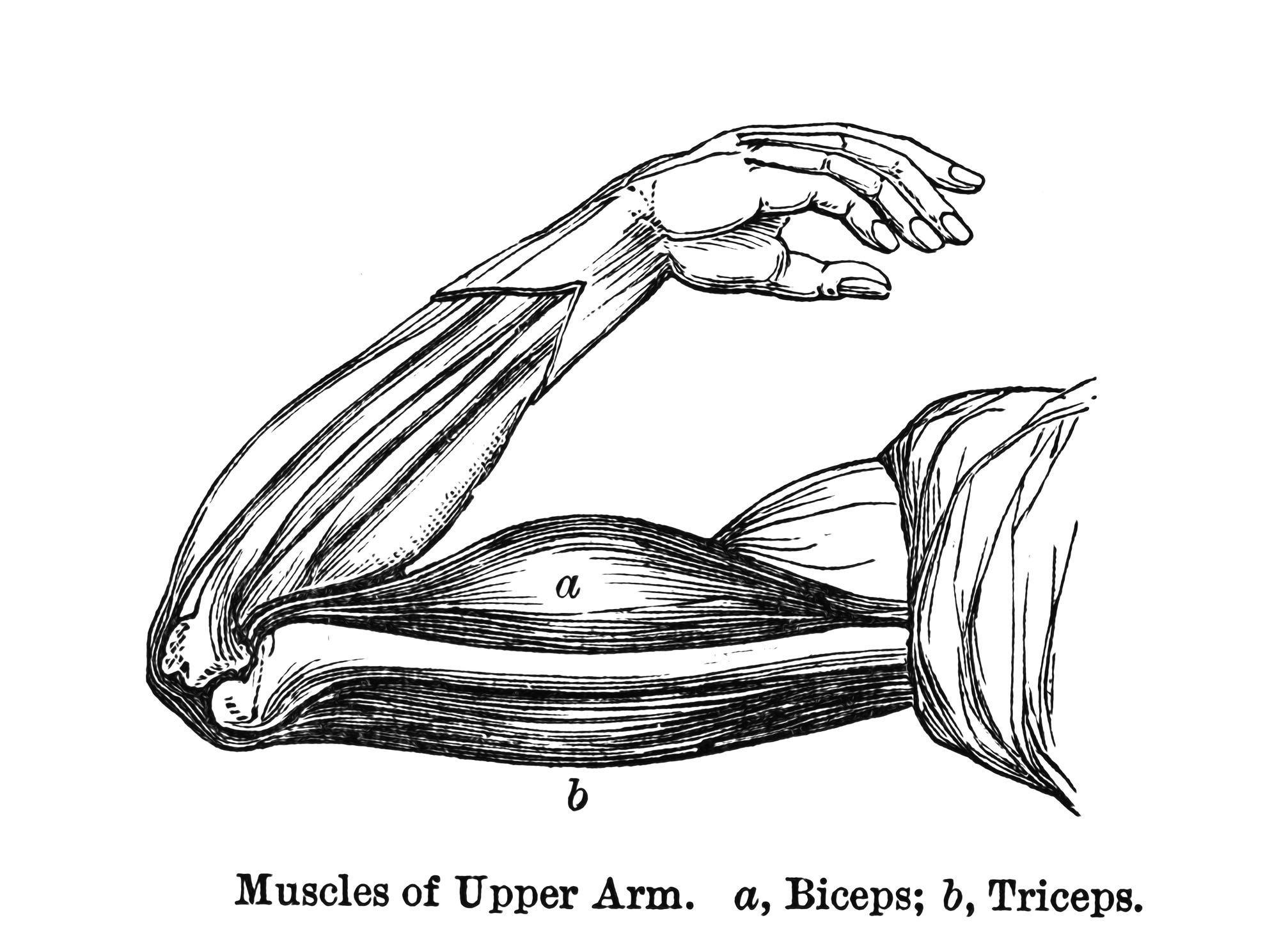 Fullness - by Samuel Ernest - The Audacity.