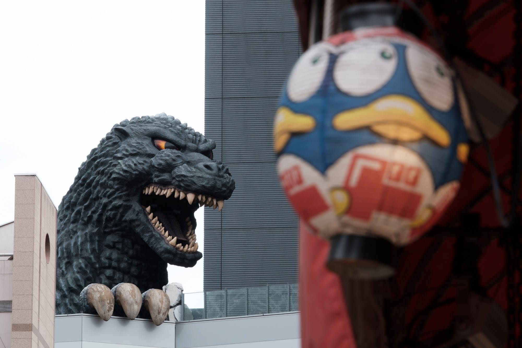 Godzilla - by SHIMIZU Akira - JAPAN ORDINARY -photos-