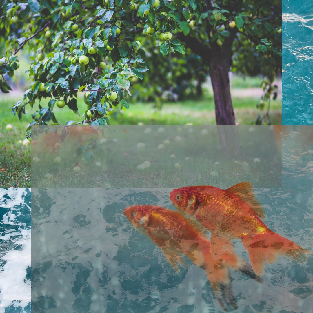 What if God? - by Jenny Tallent - Jenny’s Universe