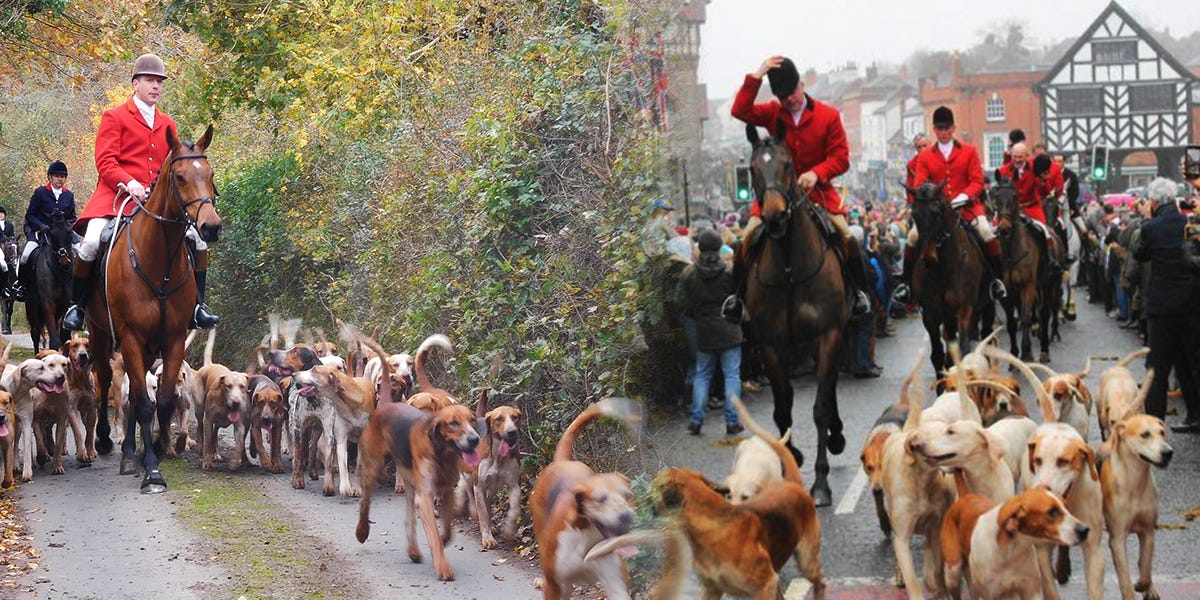 BOXING DAY PARADES: Here's how YOU can gather much needed evidence against hunts