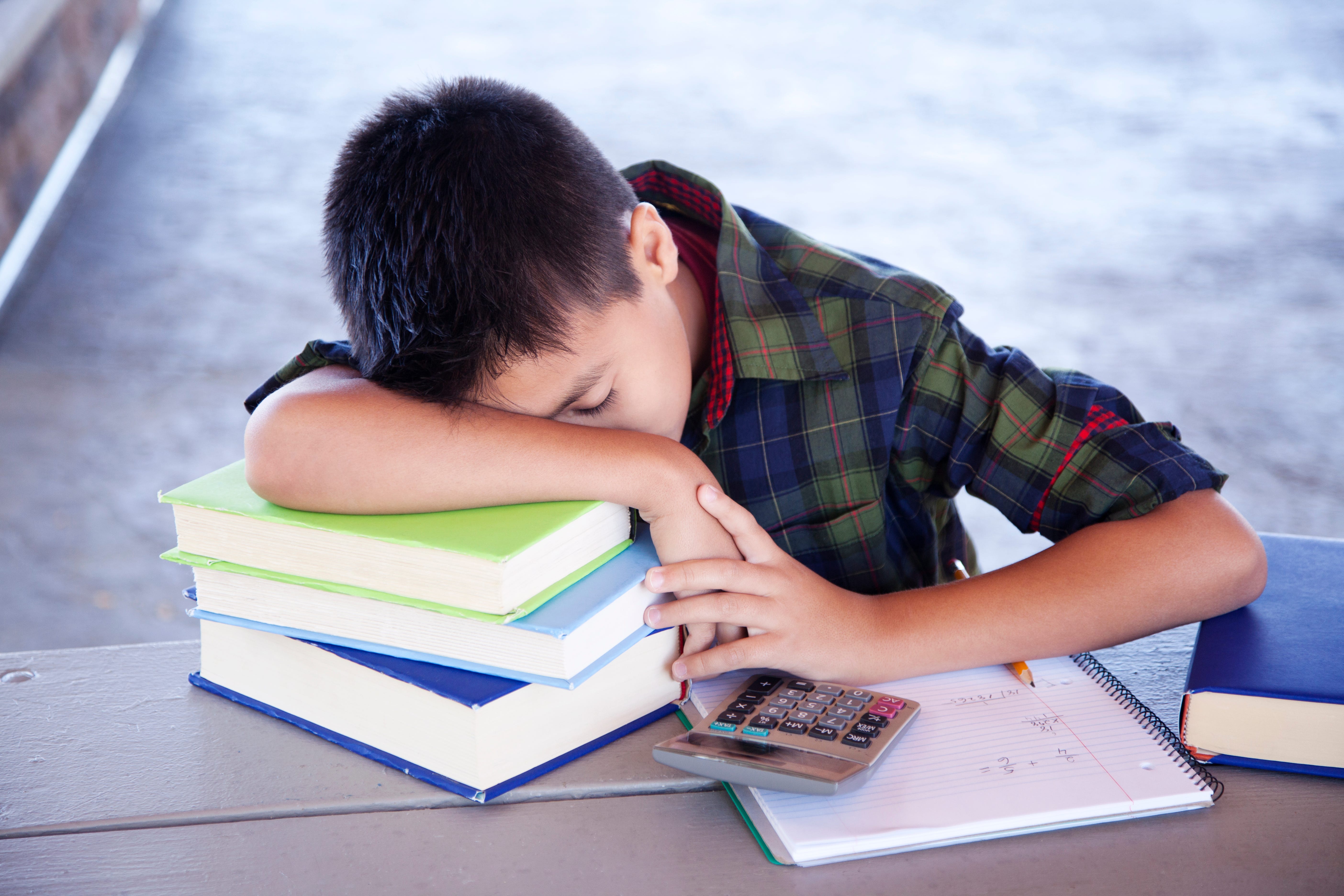 How To Recover From K-12 Student Learning Loss