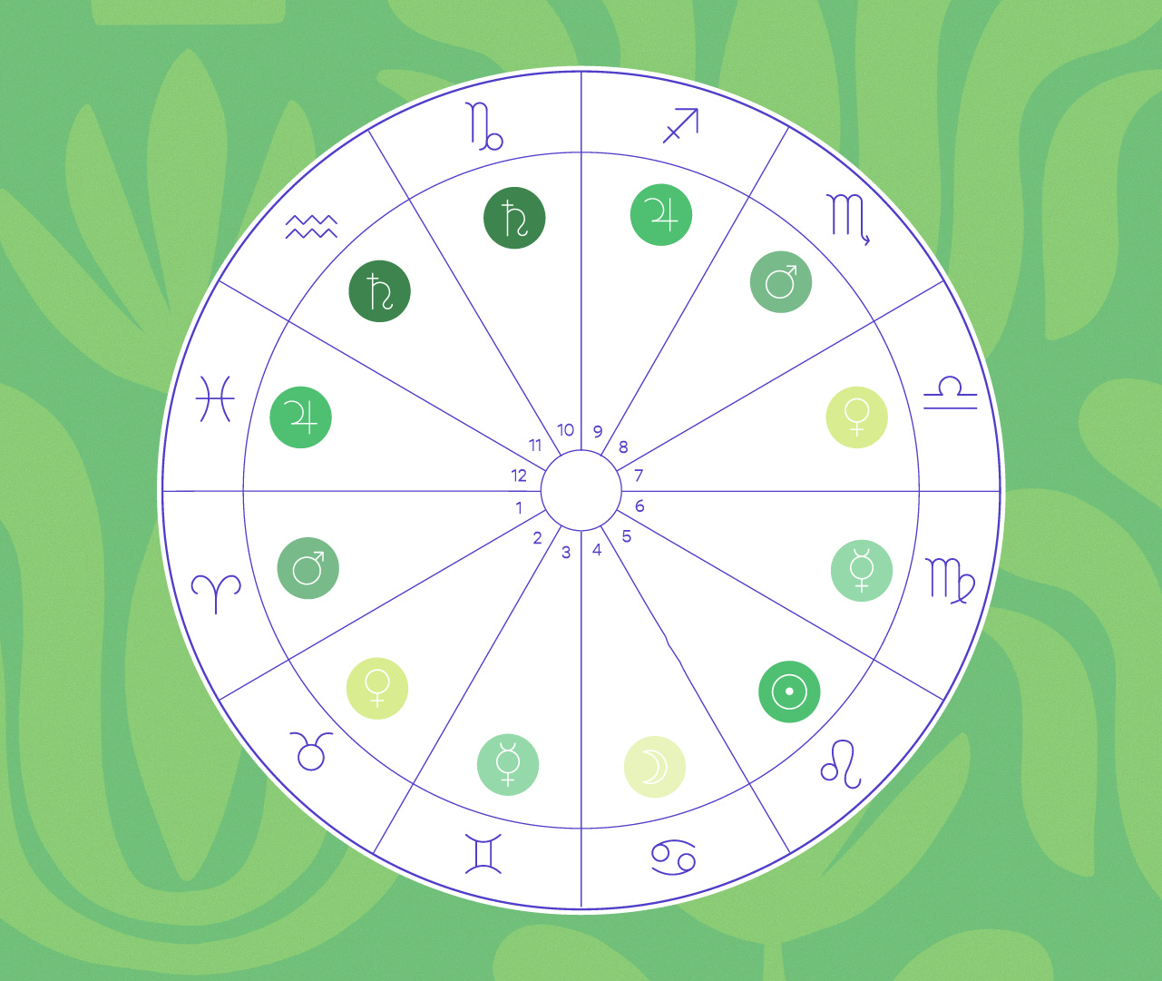 Circle Zodiac Planets Chart