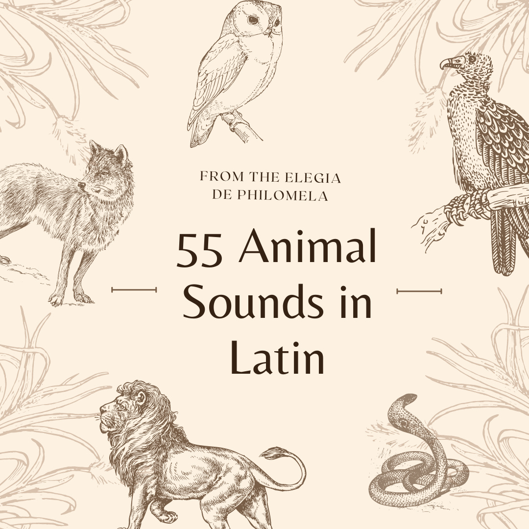 What does the fox (and 50 other animals) say in Latin?