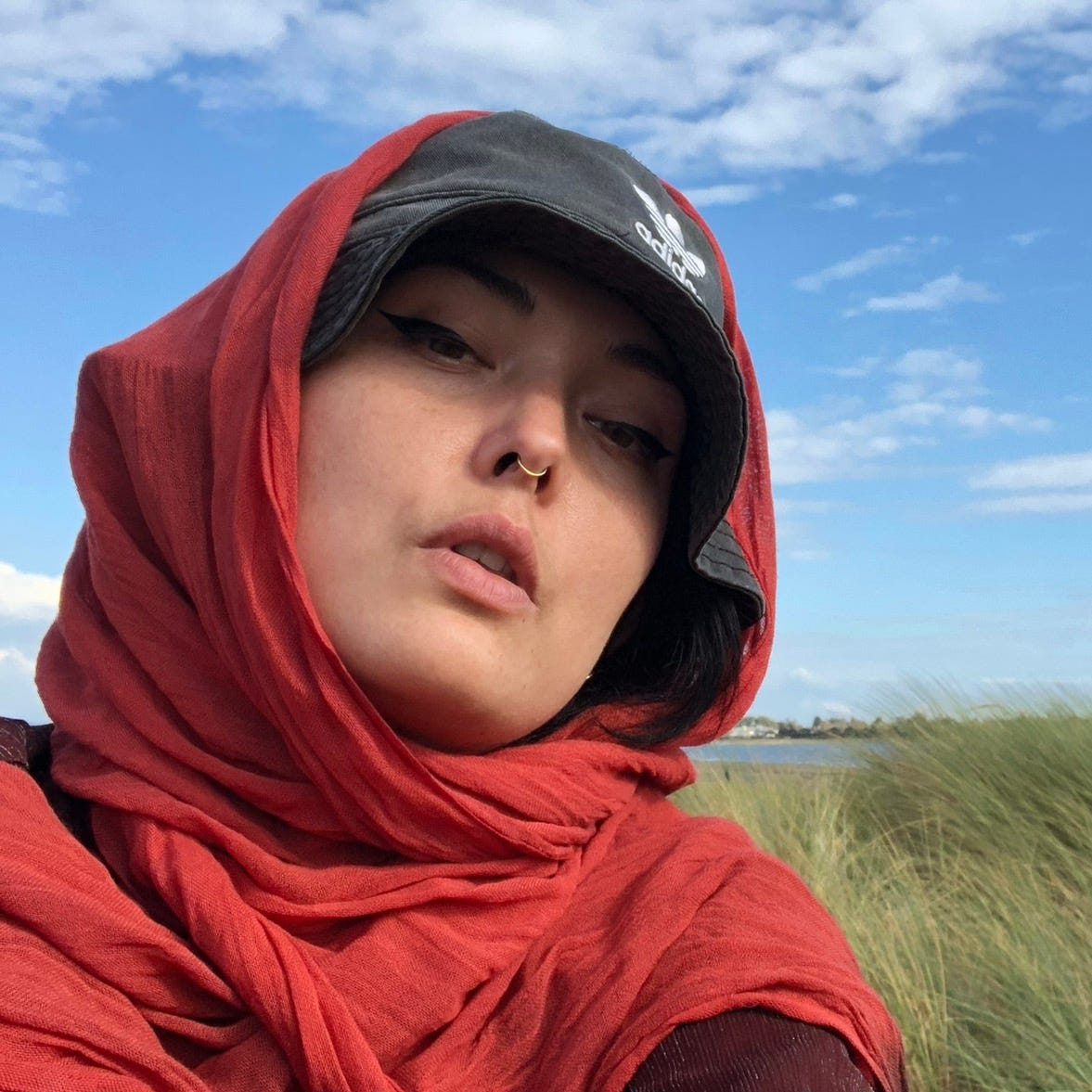 d hirokane, UNIVERSAL BRIDGE | Substack