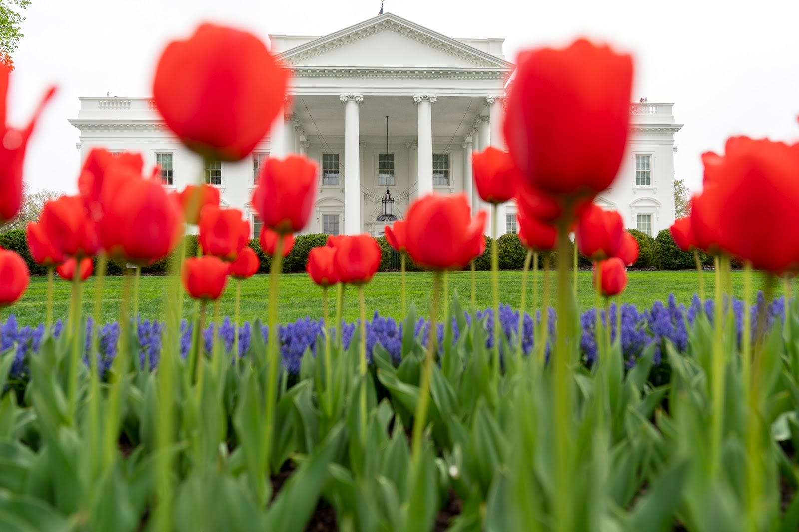 First Lady Announces Spring White House Garden Tours