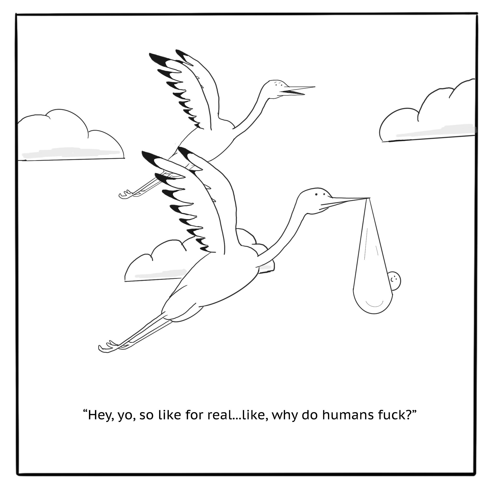 Inquiring Storks Want To Know - by Louis Wittig