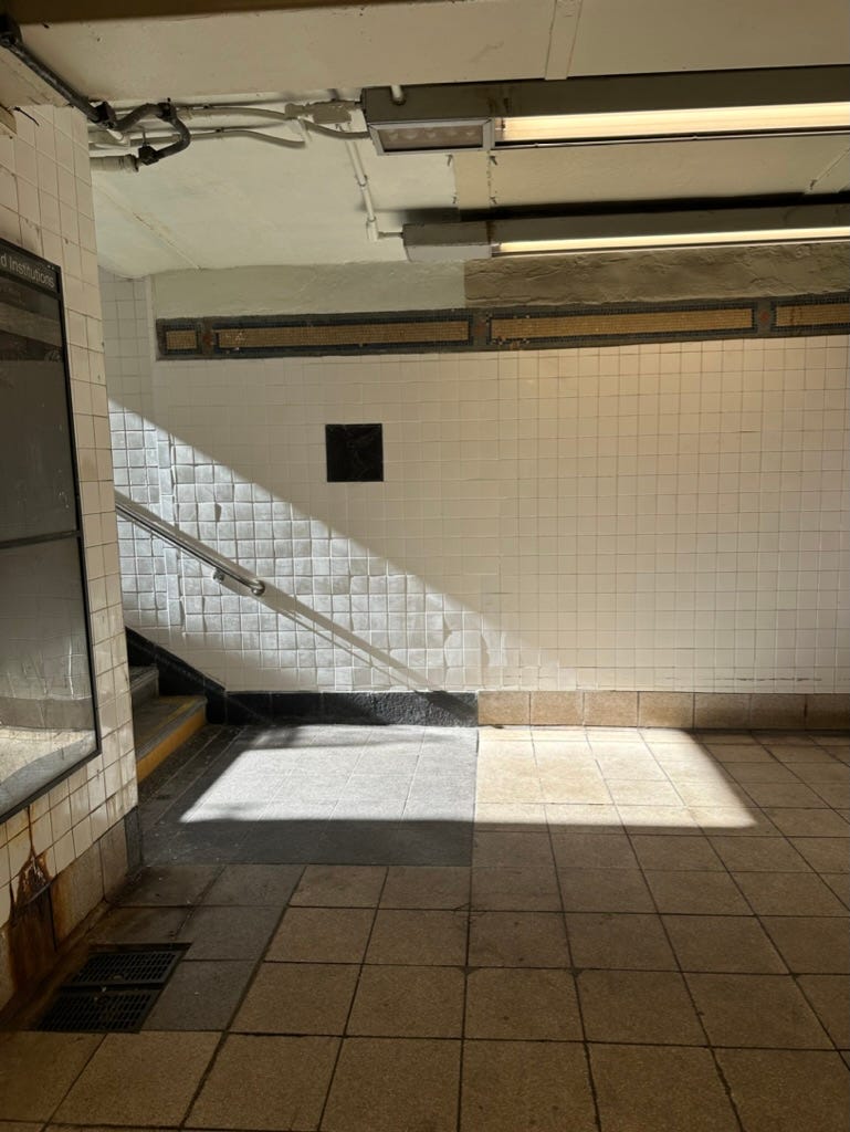 The Half-Swallowed Beggars Plea - Kimbra’s Substack