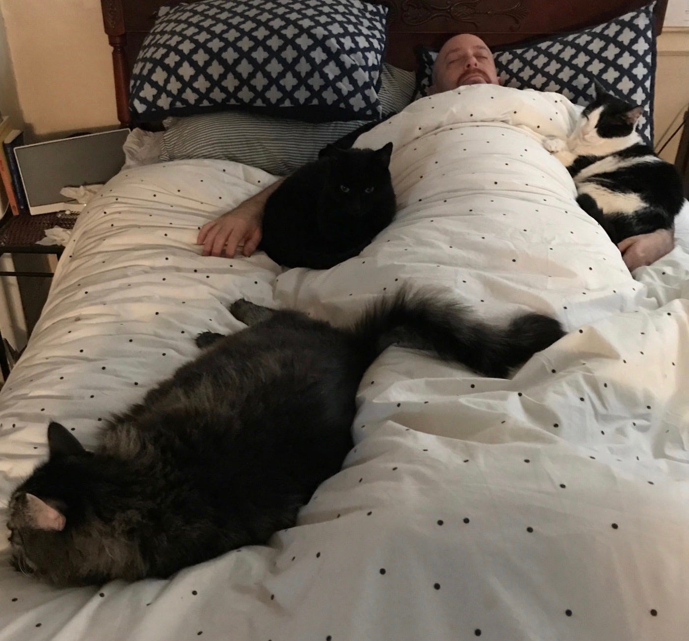 the queen is dead. long live the queen. - by mark.rifkin