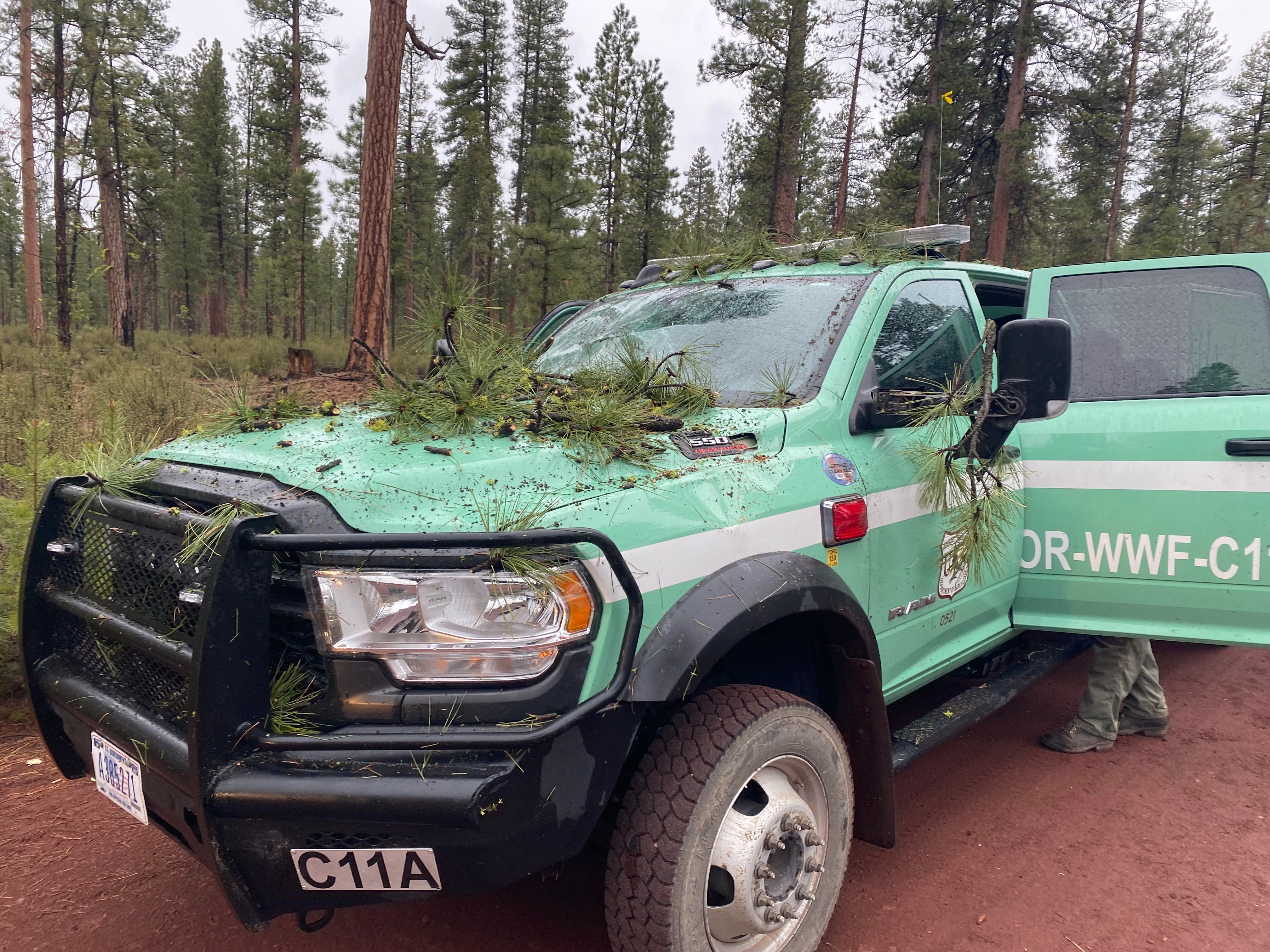 Hotshot Rig Crushed By Tree In Oregon.