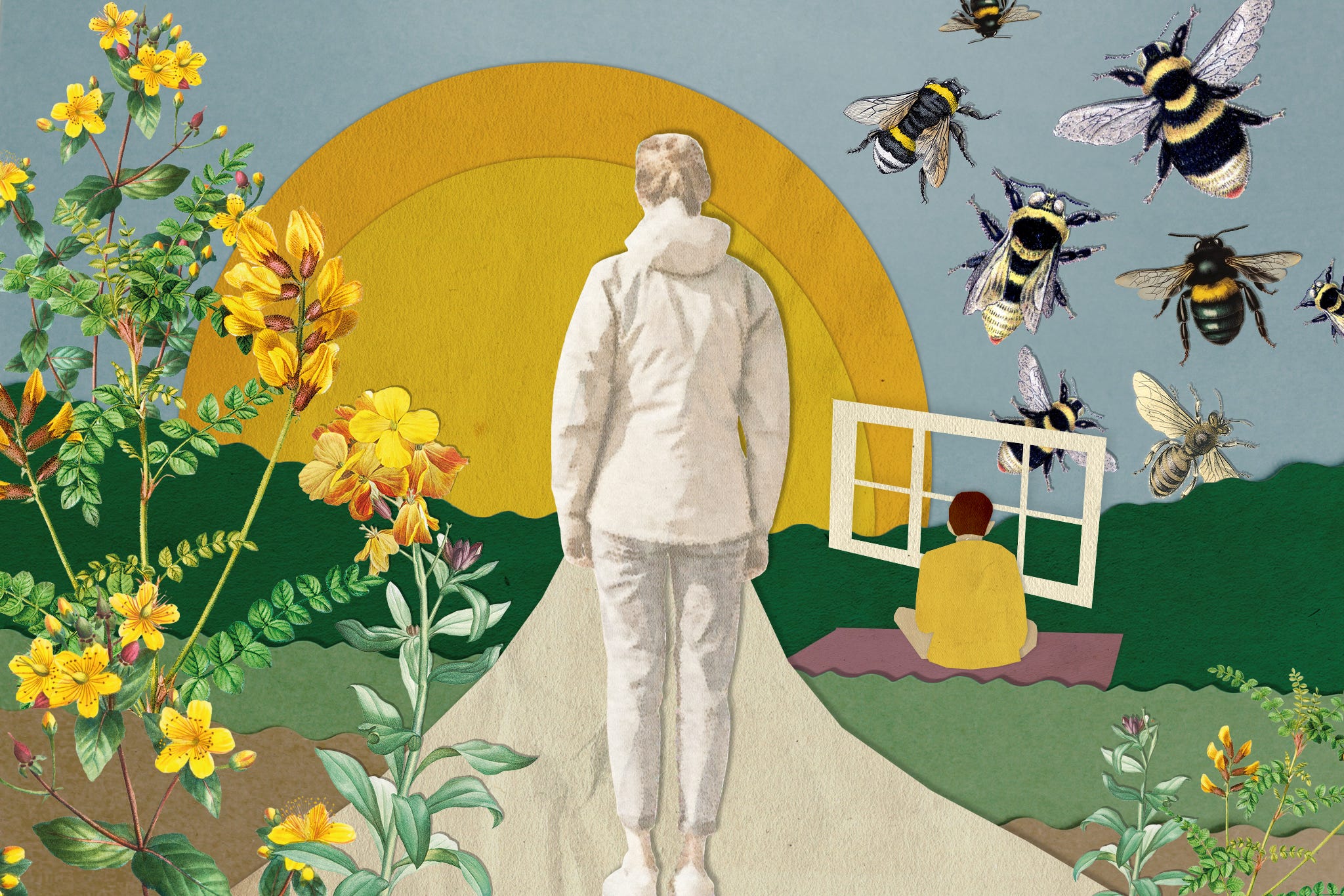 Stop and Watch the Bees