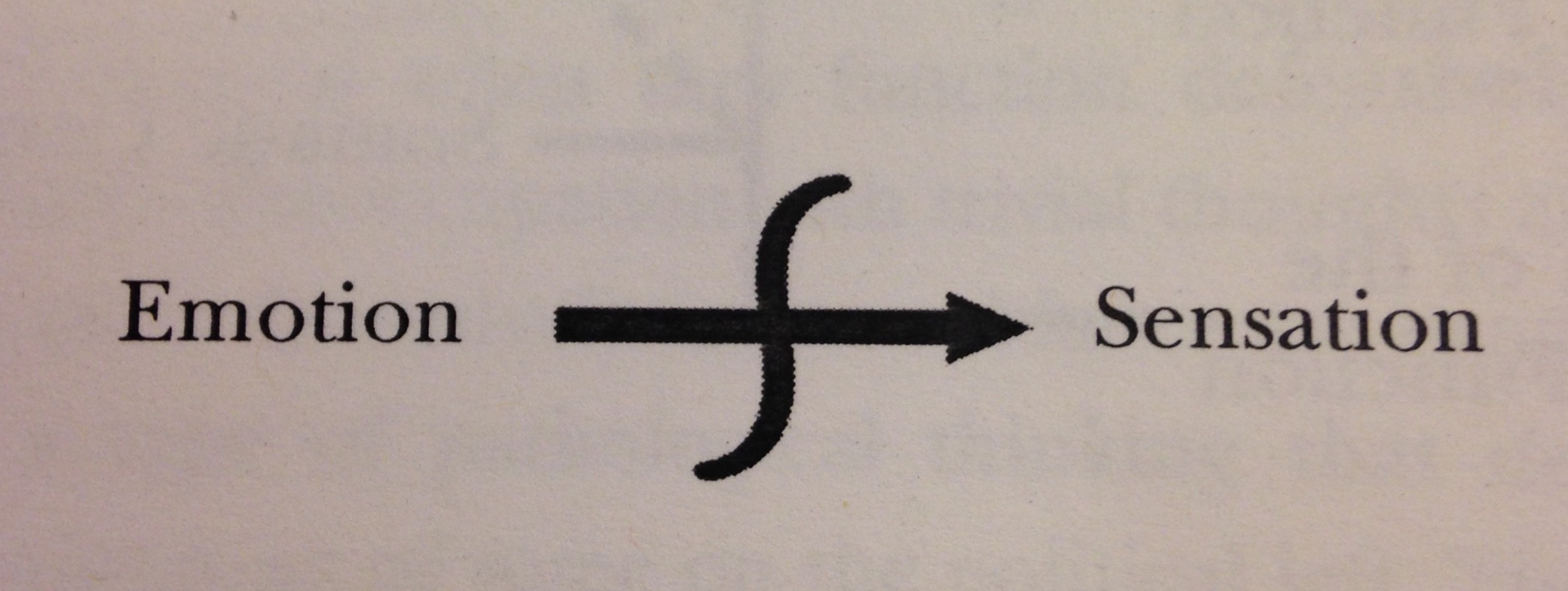 Orgonomy On Thought and It’s Relationship to Emotion: Thought is Not ...