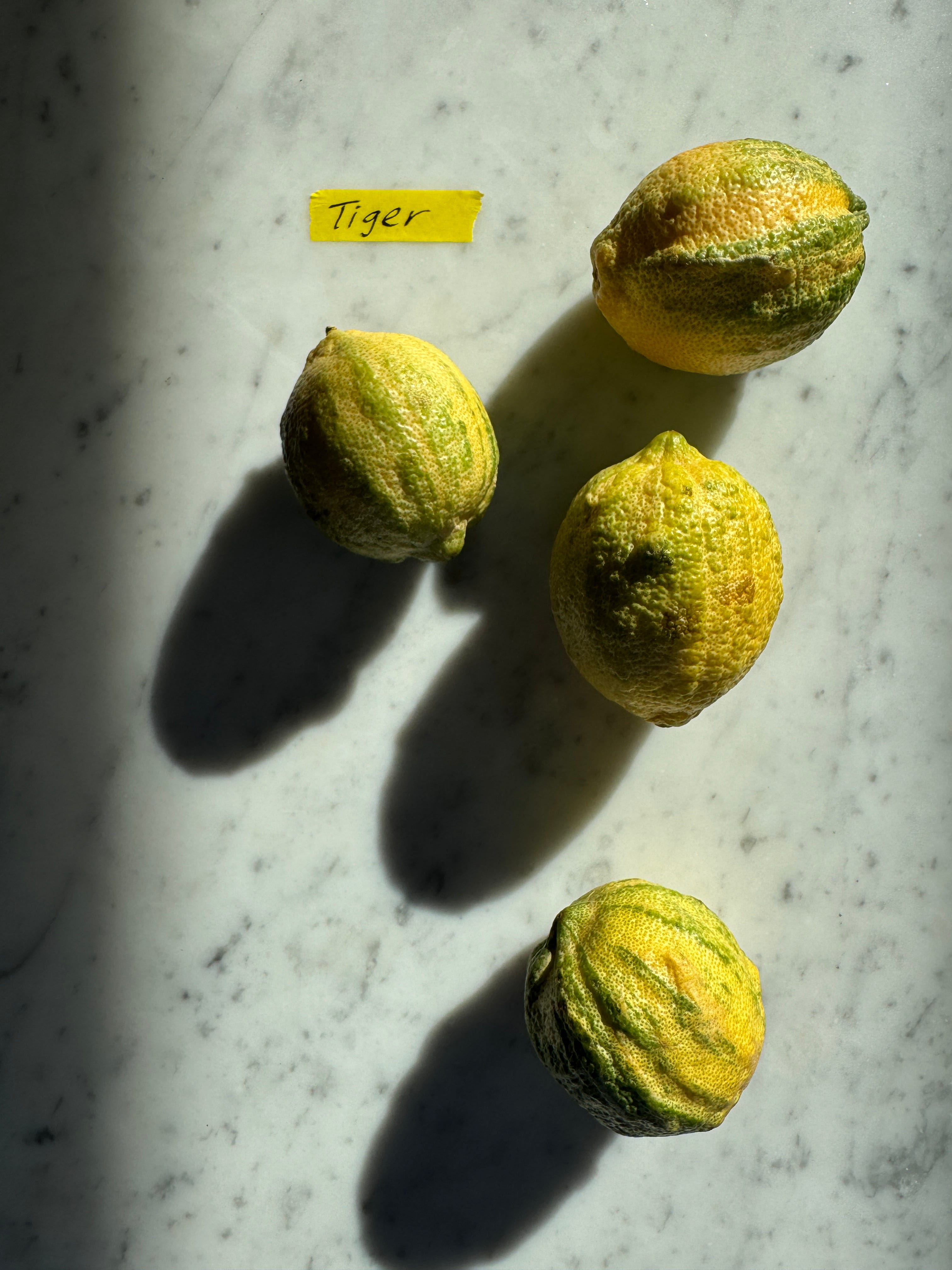 Everything I know about lemons - The Anna Jones Newsletter