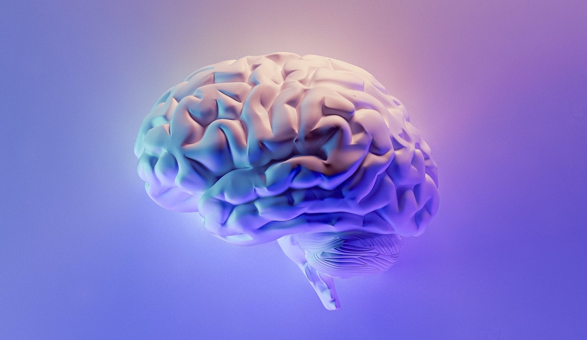 How to Program your Brain for Success | Substack