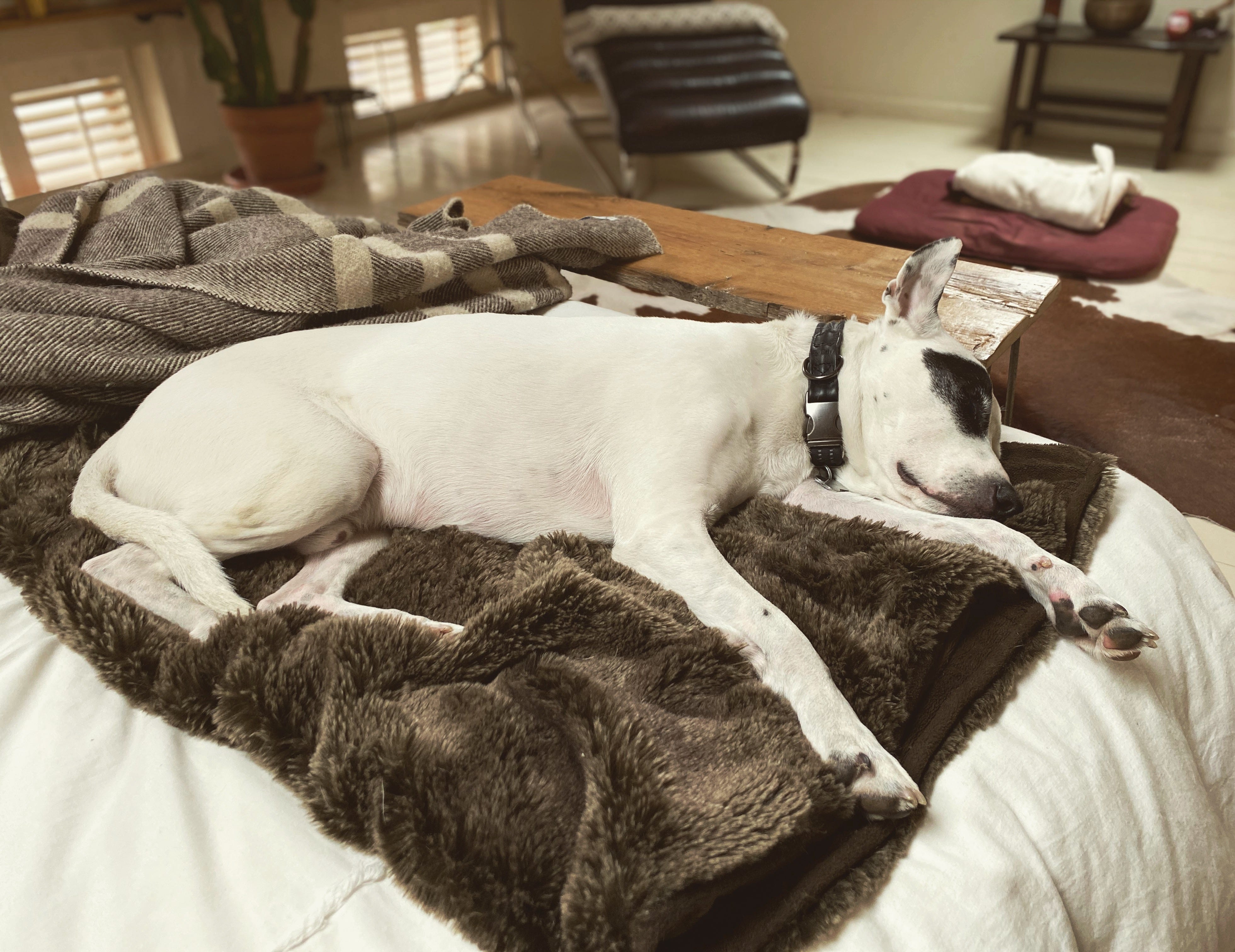 Scouting for Relaxing Locations - by Daron Larson