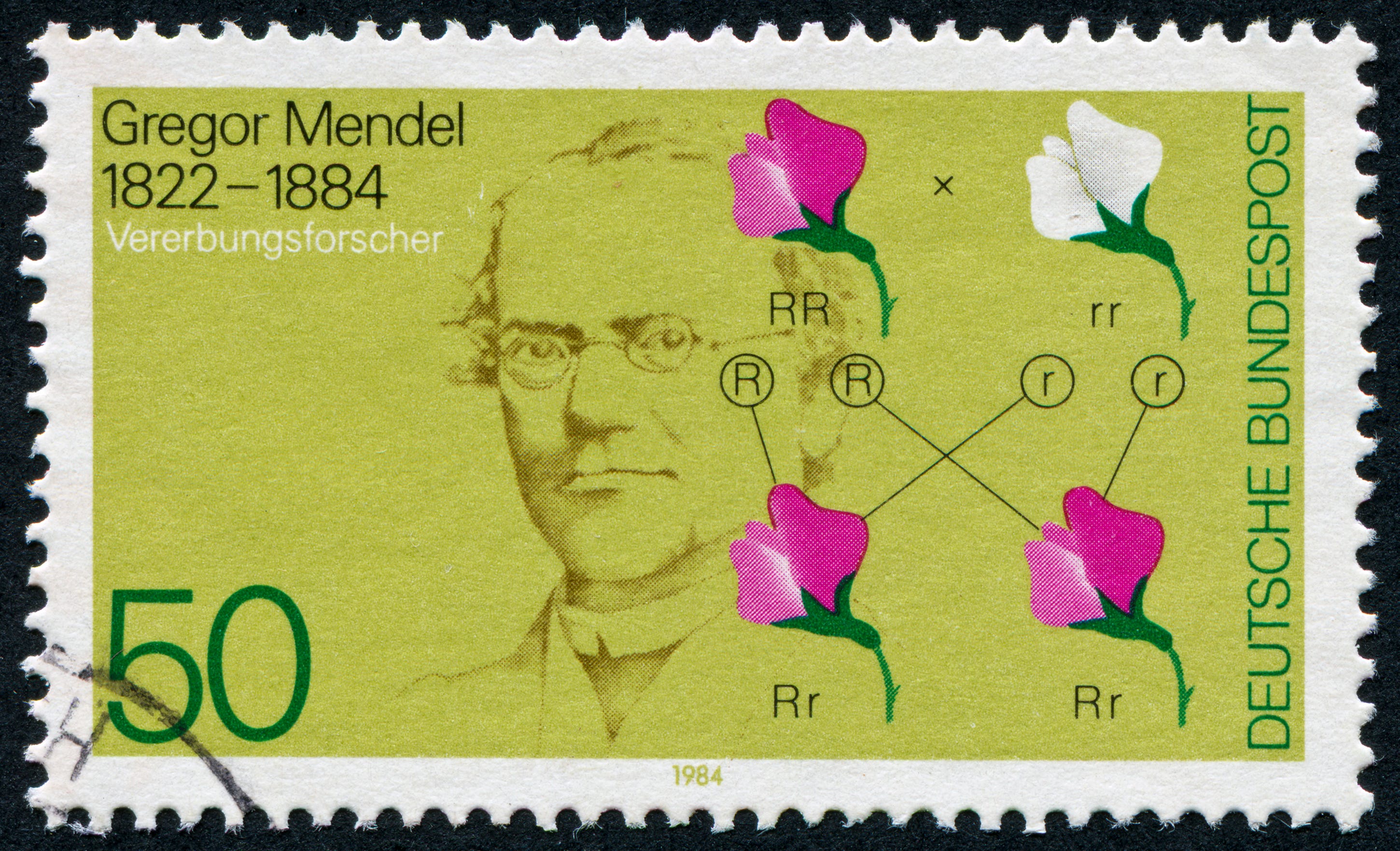 A Monk In the Garden of Genetics - by Dr. Joshua M. Moritz