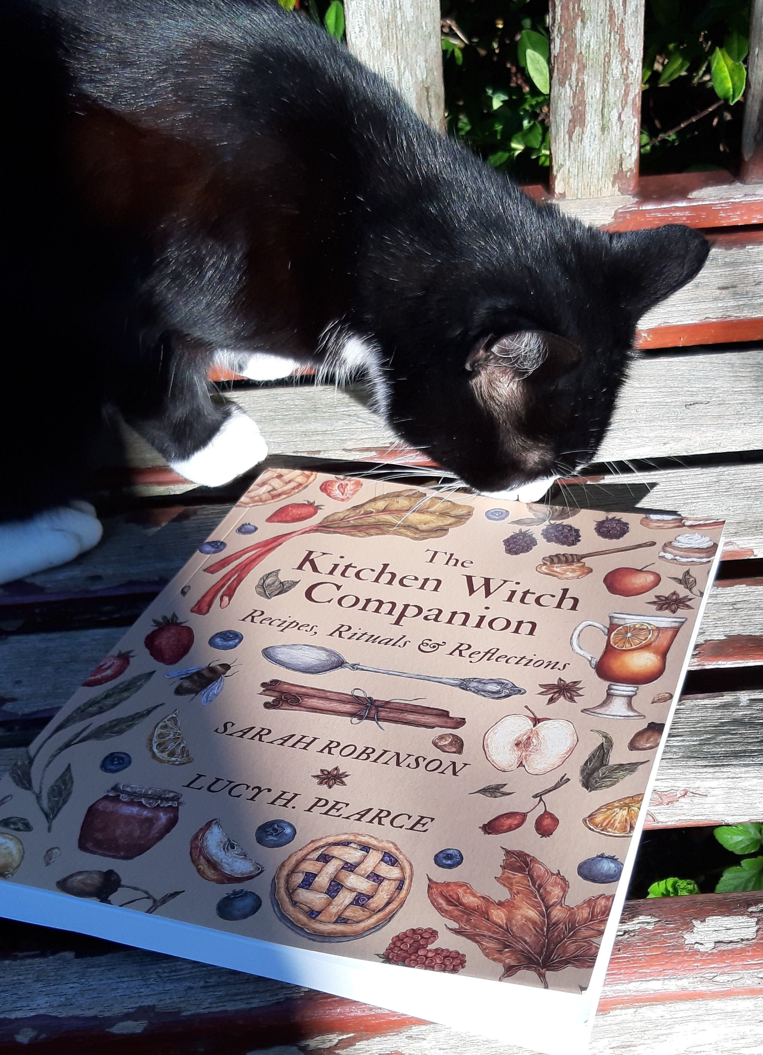 The Kitchen Witch Companion - by Jacqueline Durban